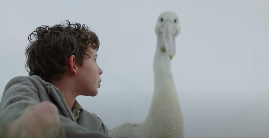 Storm Boy Official Trailer Upcoming Movies 2019 – Total Girl