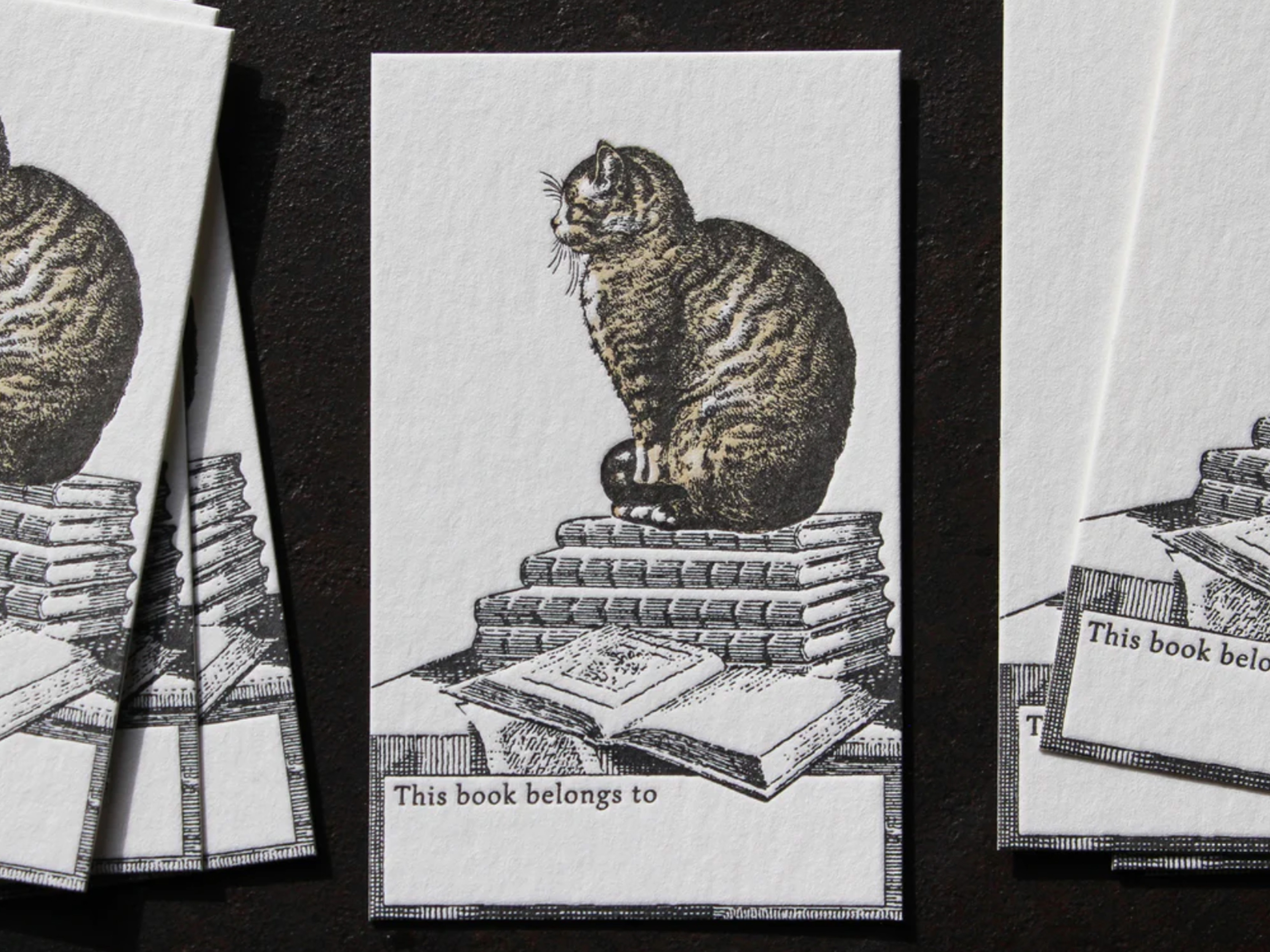 flywheel giveaway • frankie magazine • australian fashion magazine online