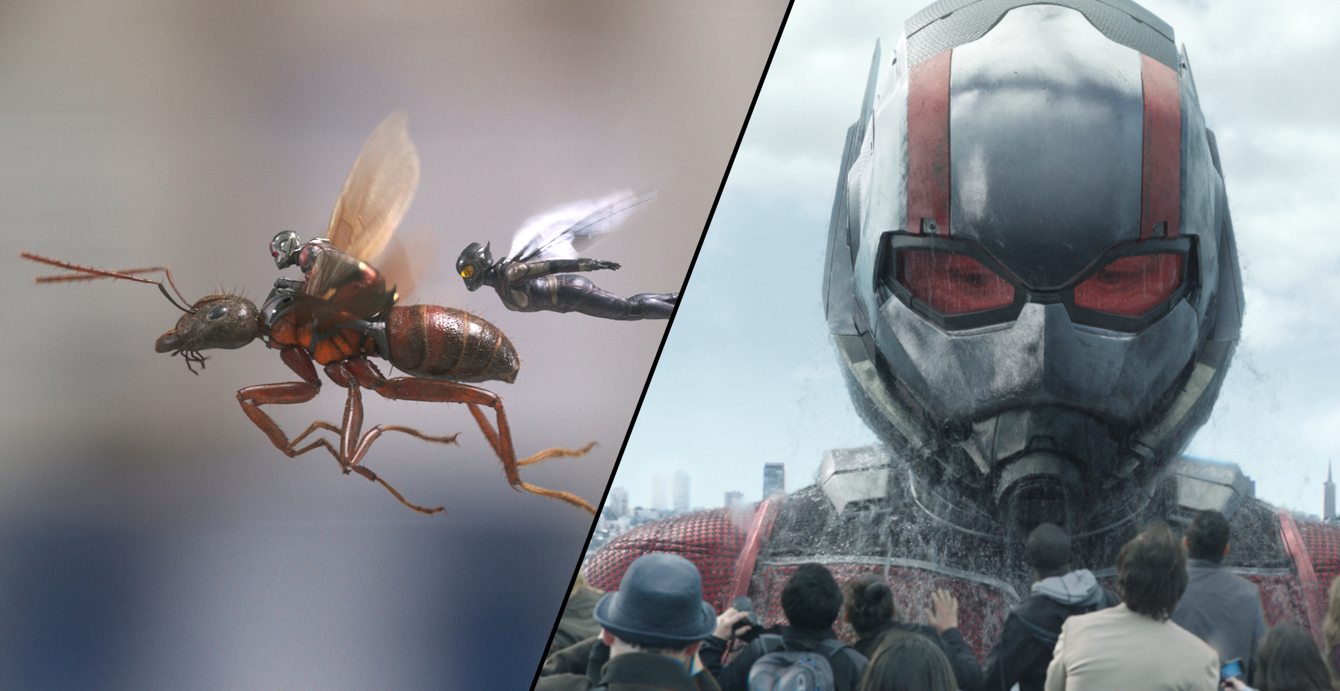 Would you prefer to be giant or tiny? – K-Zone