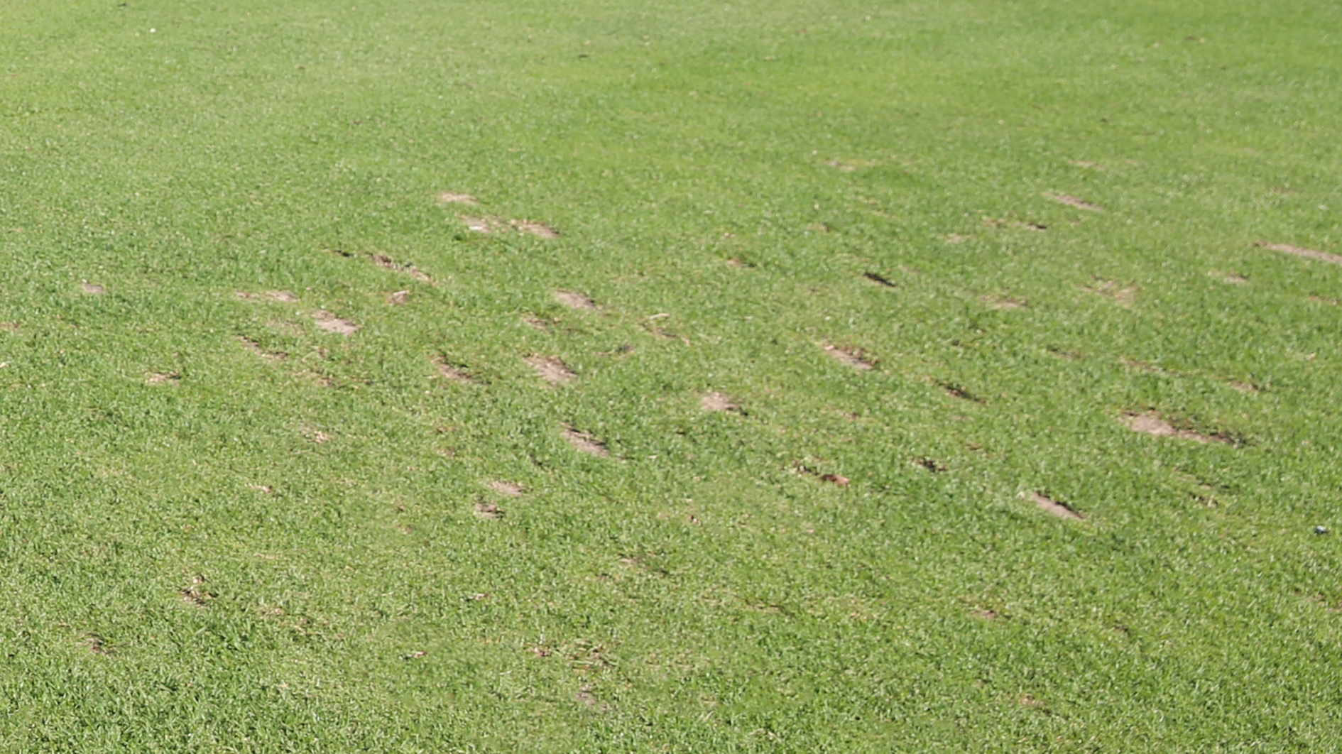 Video lesson: The swing secrets your divots reveal - Instruction - Golf ...