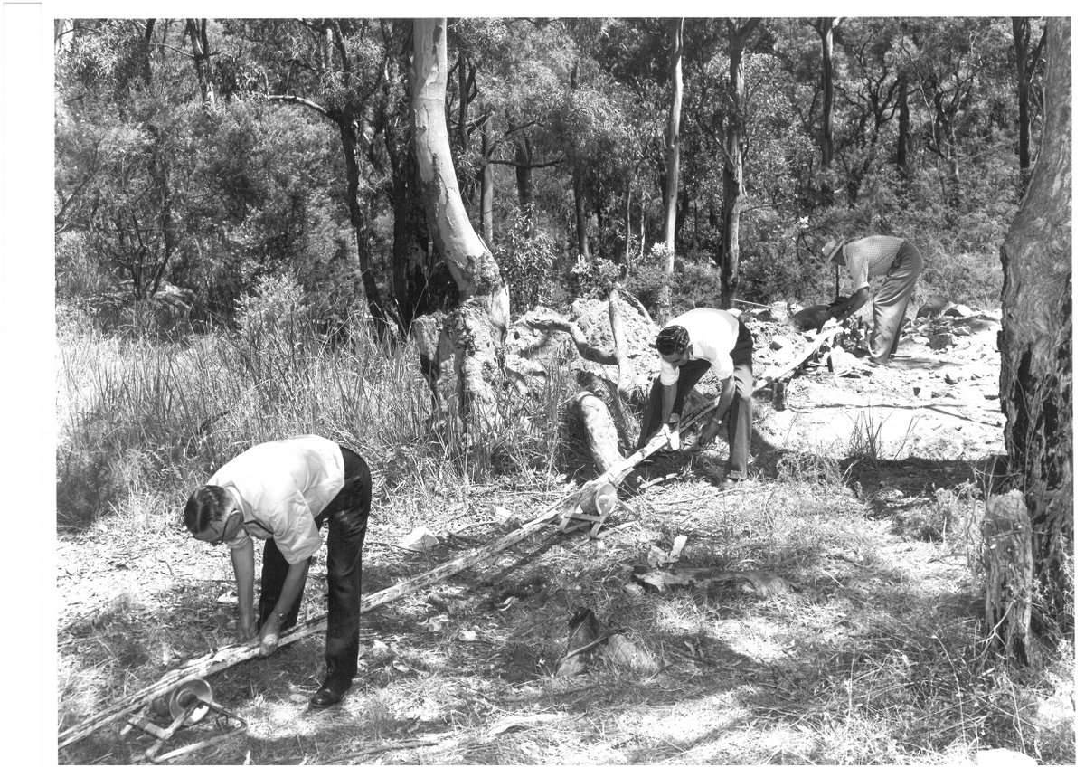Photos: Telstra's coaxial cable layers reunite - iTnews
