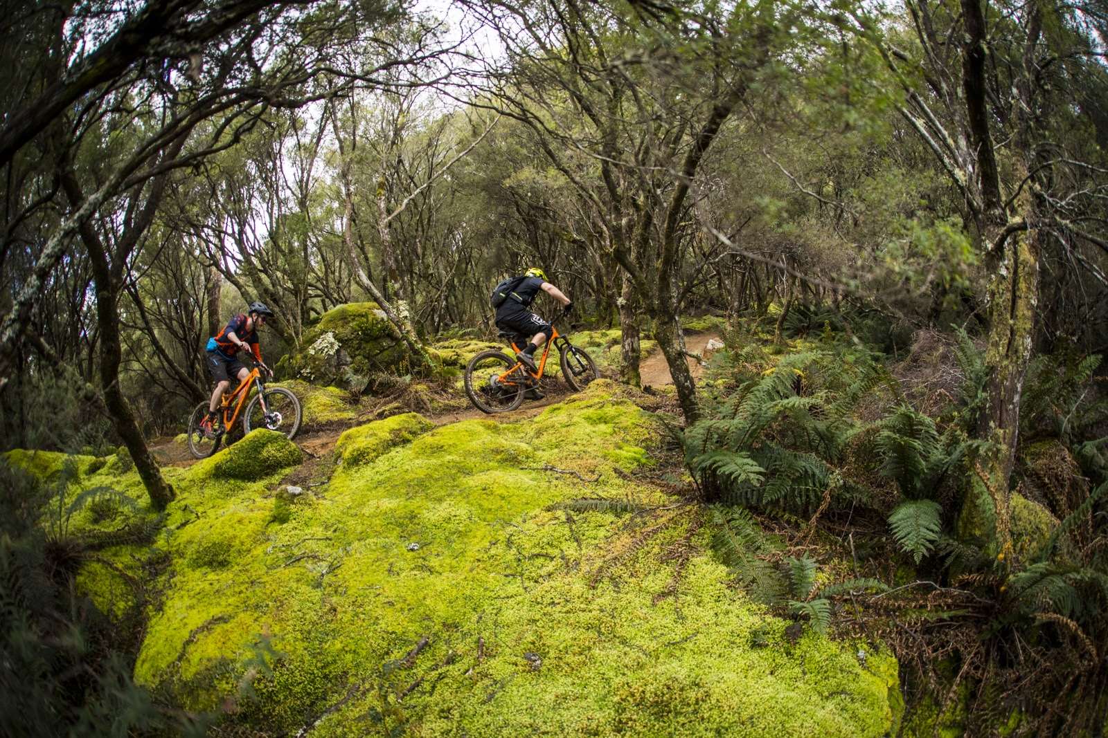 The final stage of Blue Tier - Australian Mountain Bike | The home for ...