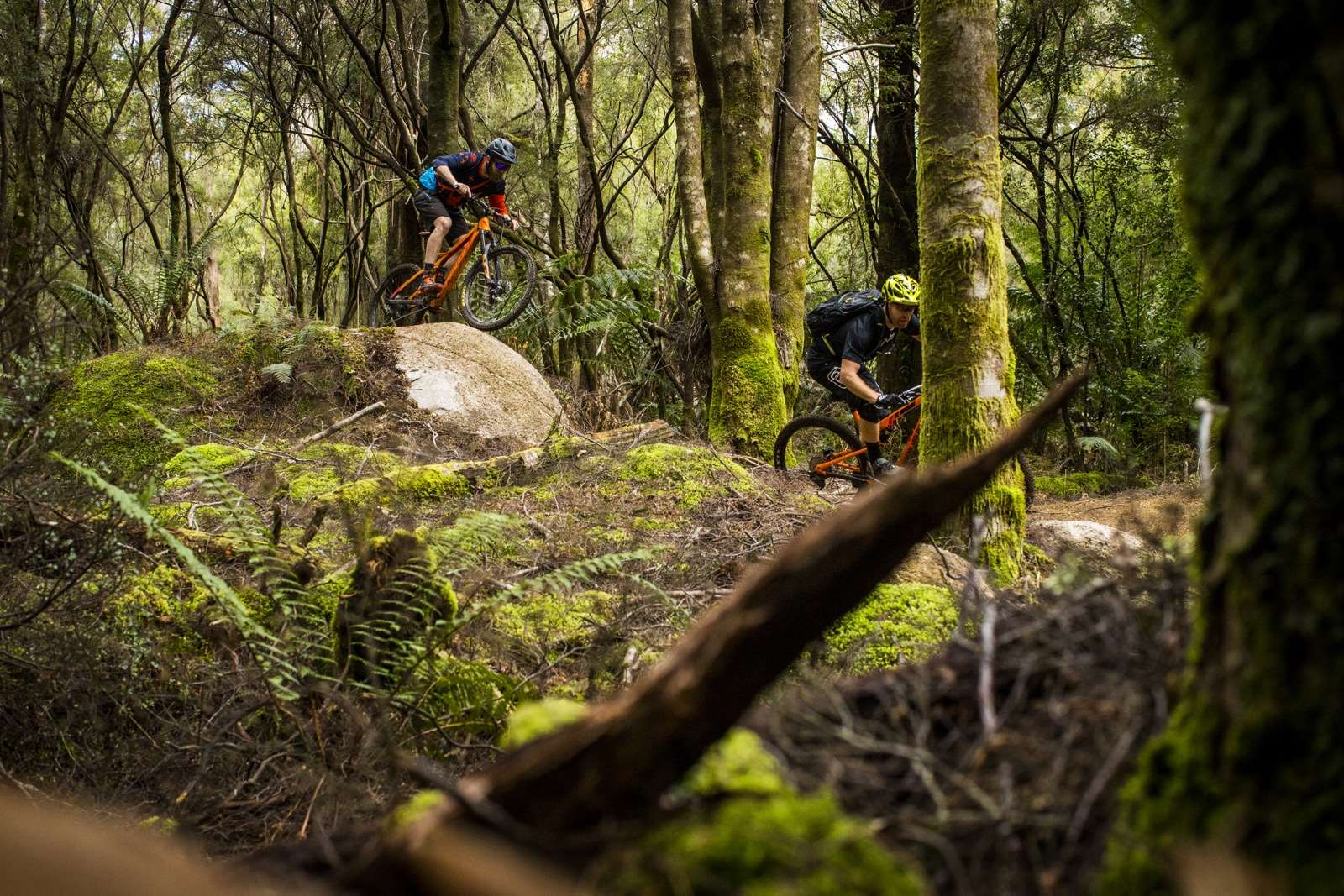 Riding the Blue Tier - Australian Mountain Bike | The home for ...