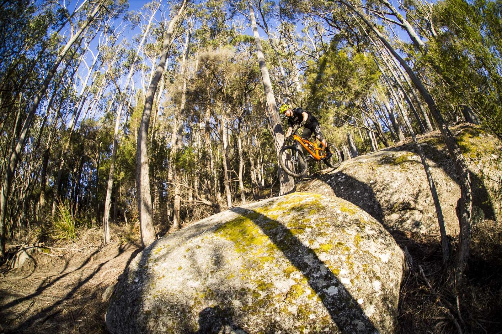 Riding the Blue Tier - Australian Mountain Bike | The home for ...