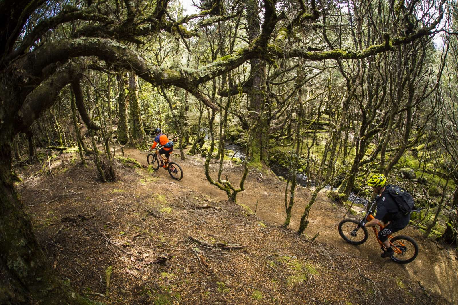 Riding the Blue Tier - Australian Mountain Bike | The home for ...