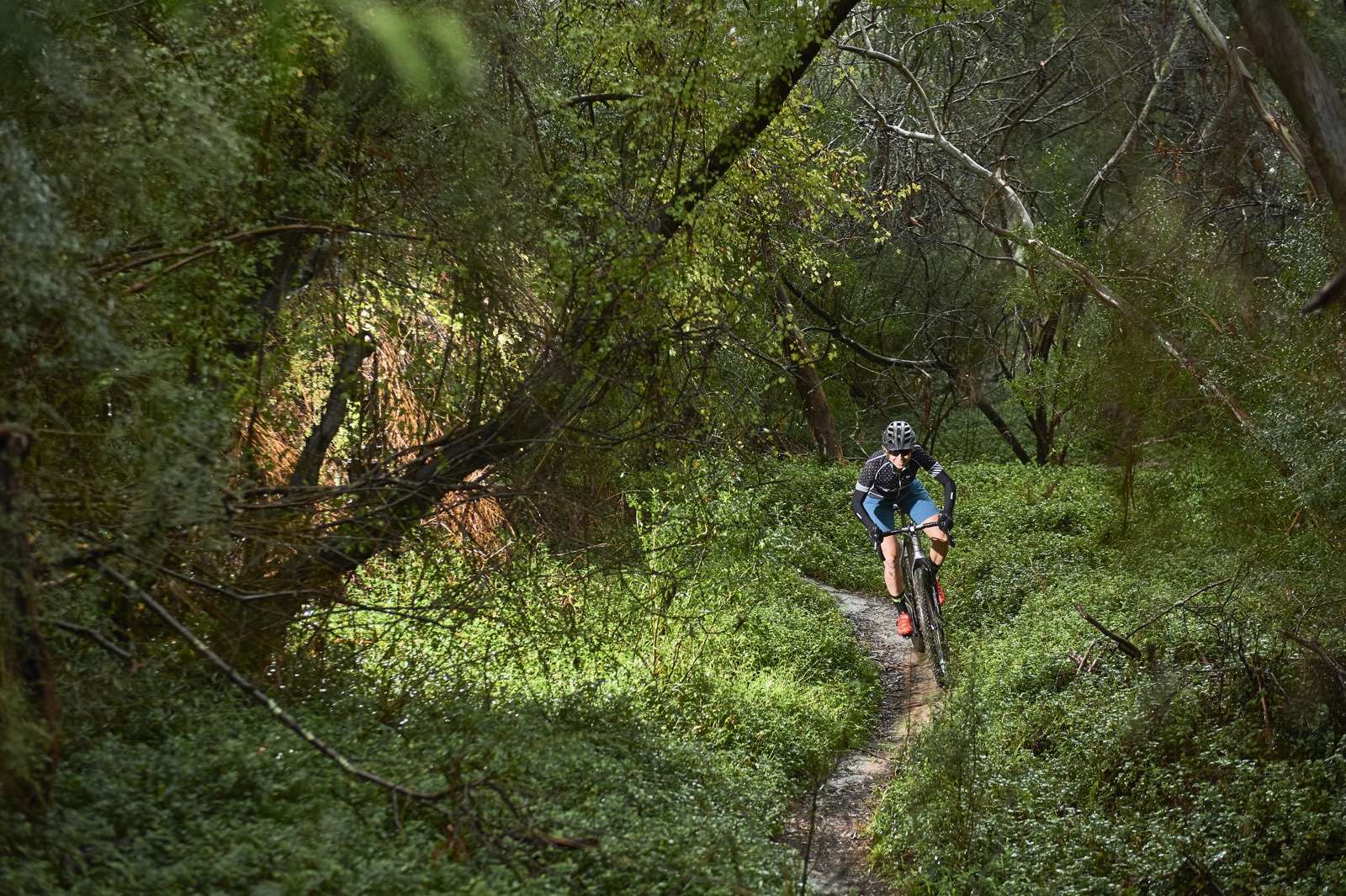 TESTED: Curve GMX monster cross bike - Australian Mountain Bike | The ...
