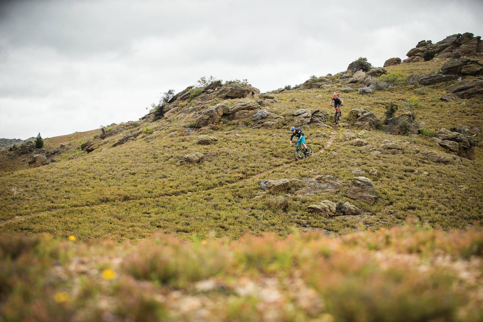 Unearthing Central Otago - Australian Mountain Bike | The home for ...