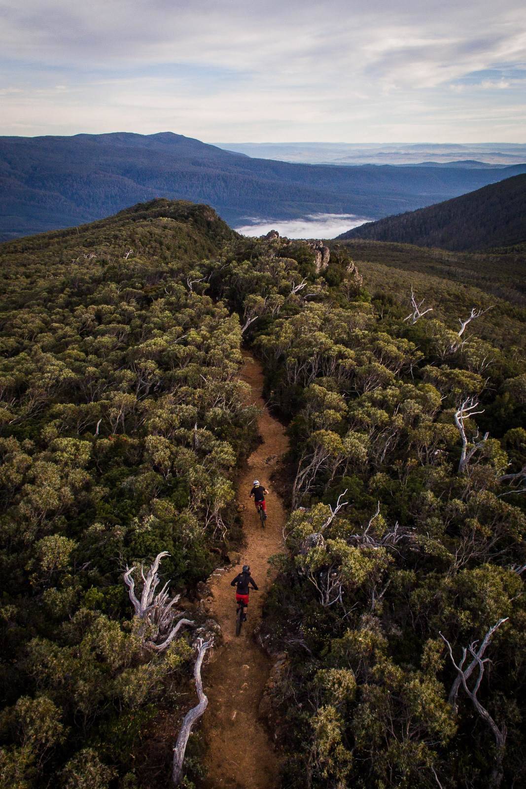 Steep and Deep in Maydena - Australian Mountain Bike | The home for ...
