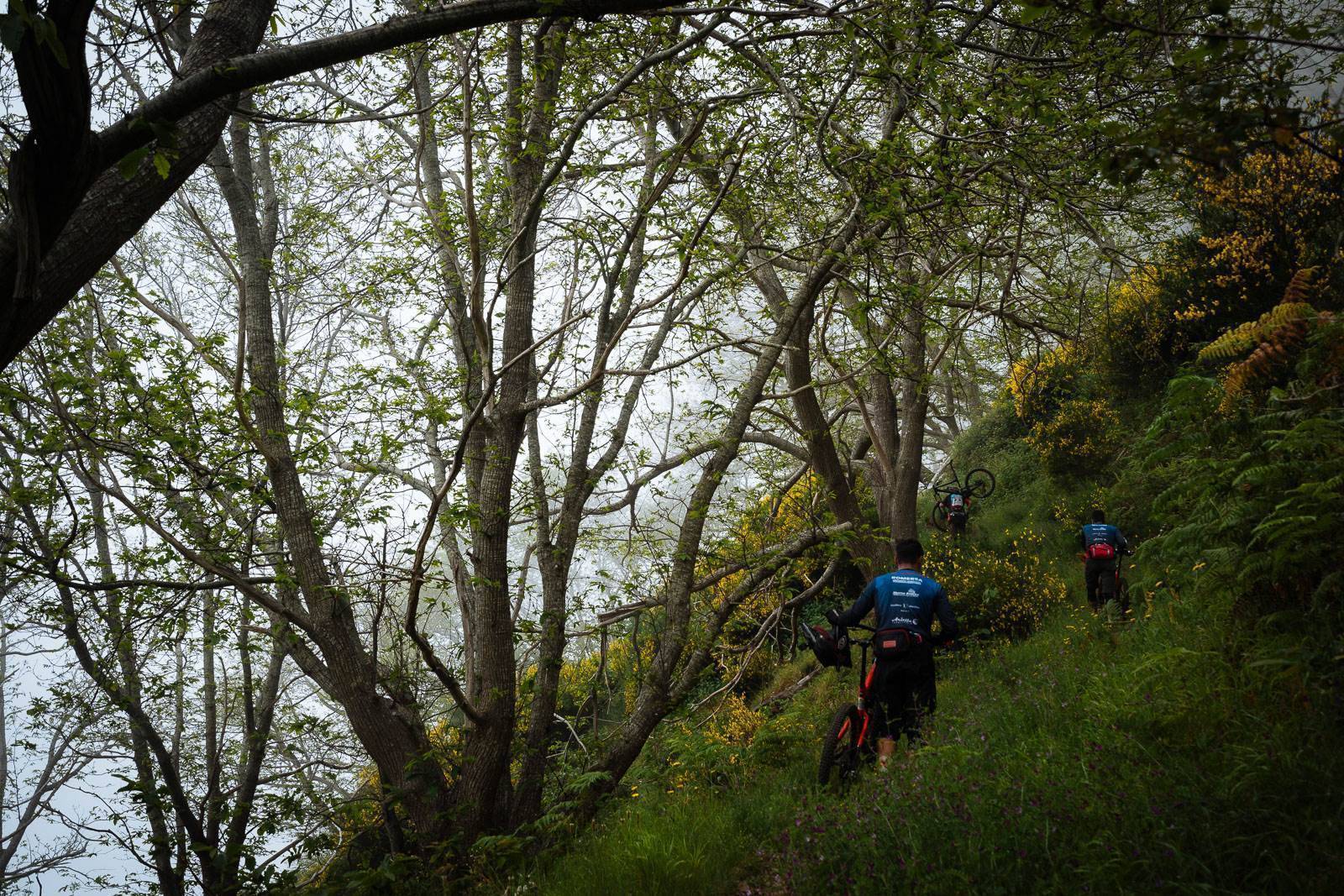 Trans Madeira - Australian Mountain Bike | The home for Australian ...