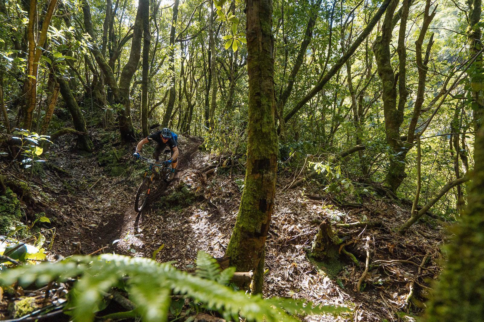 Trans Madeira - Australian Mountain Bike | The home for Australian ...