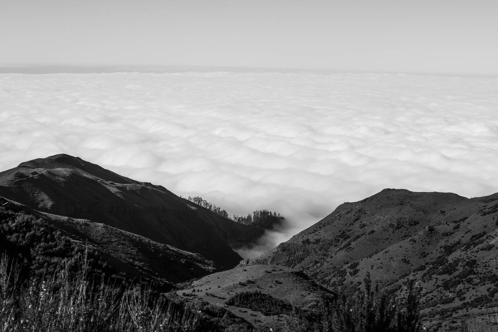 Trans Madeira - Australian Mountain Bike | The home for Australian ...