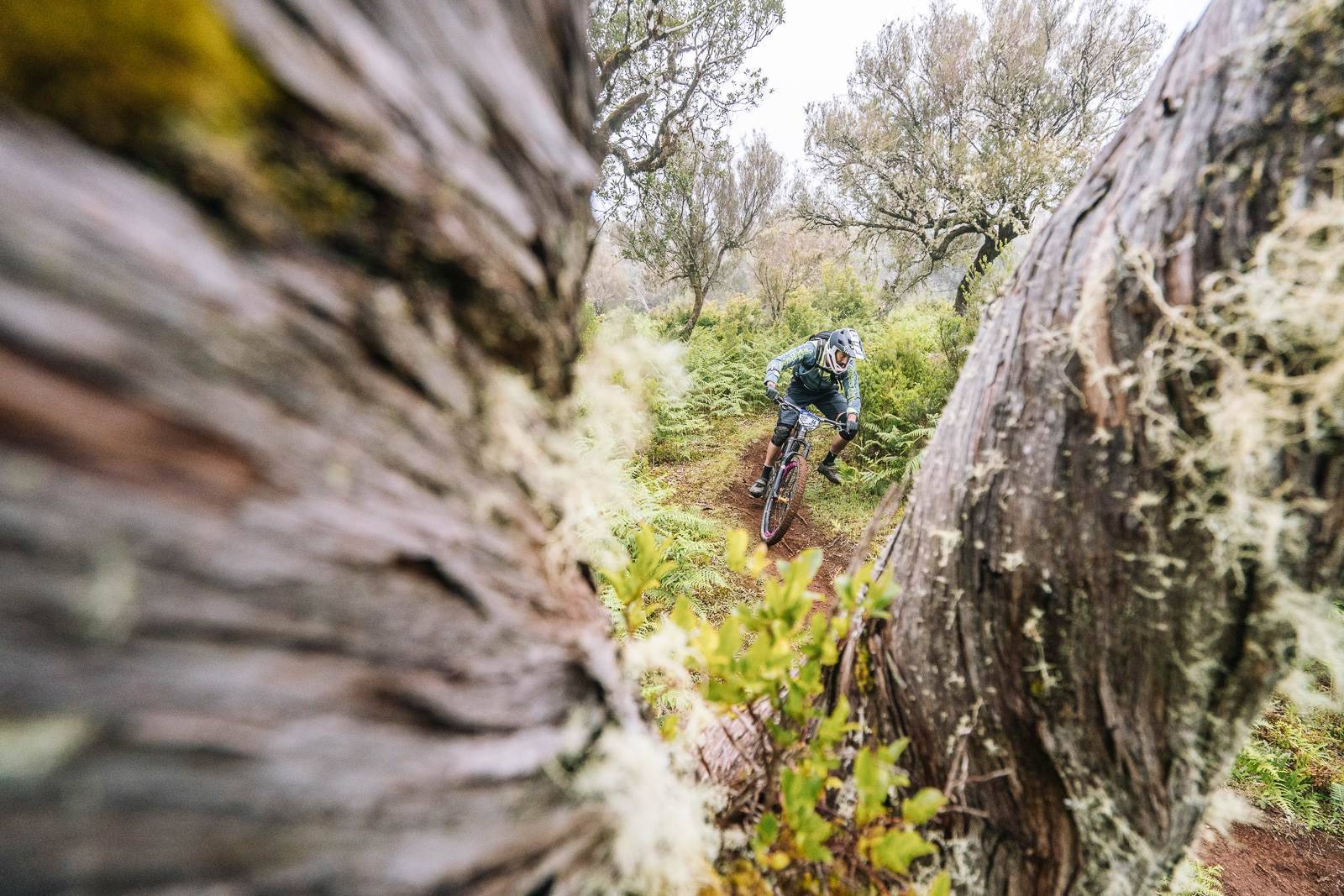 Trans Madeira - Australian Mountain Bike | The home for Australian ...