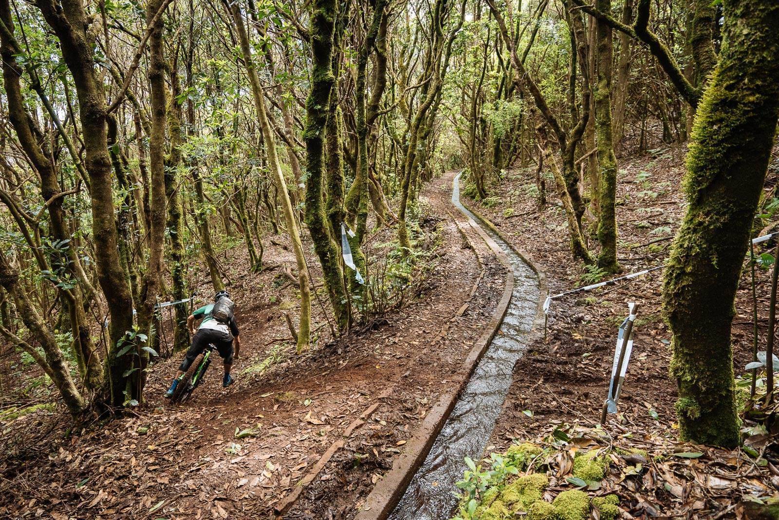Trans Madeira - Australian Mountain Bike | The home for Australian ...