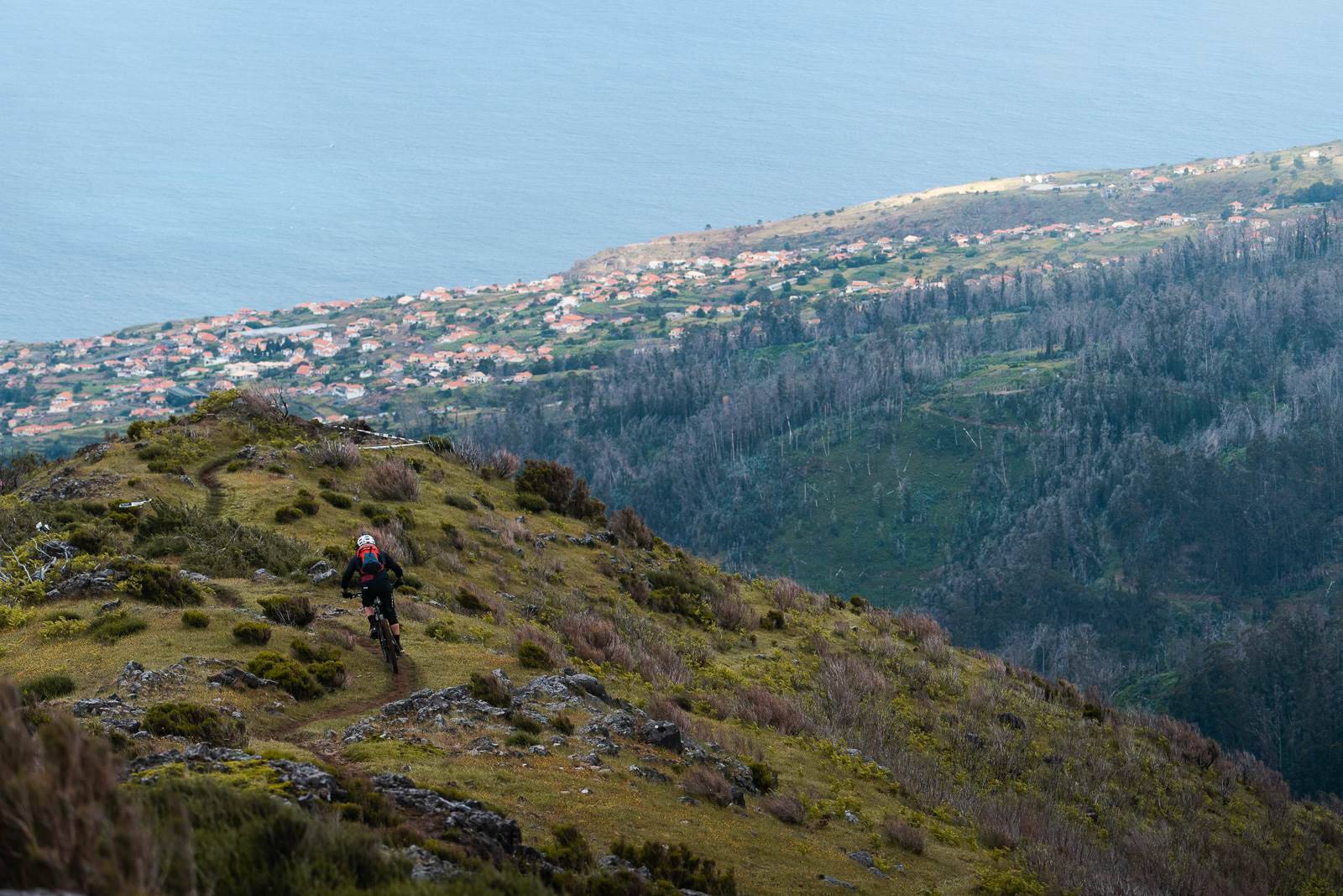 Trans Madeira - Australian Mountain Bike | The home for Australian ...