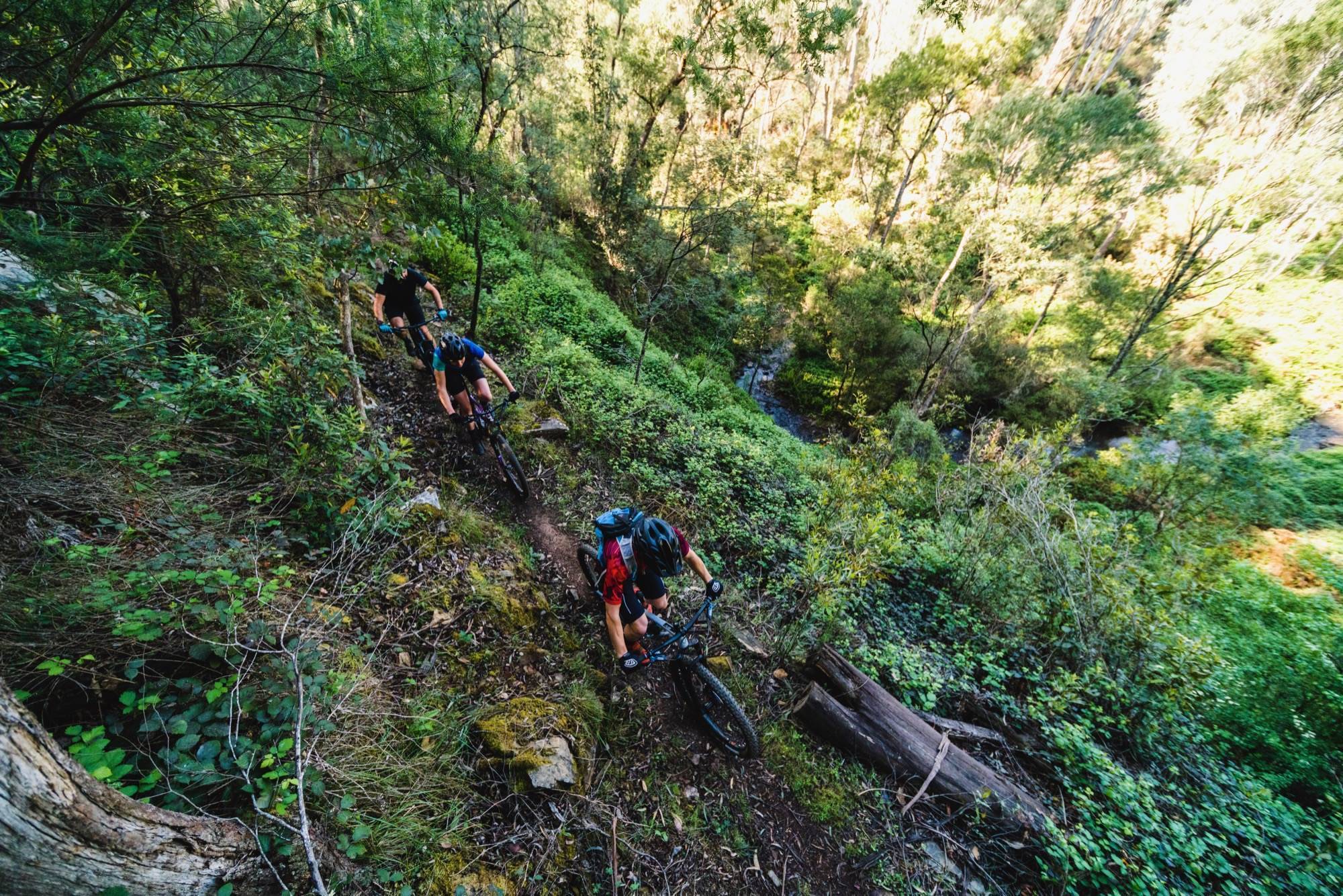 Mountain Biking in Victoria's Alpine Foothills - Australian Mountain ...