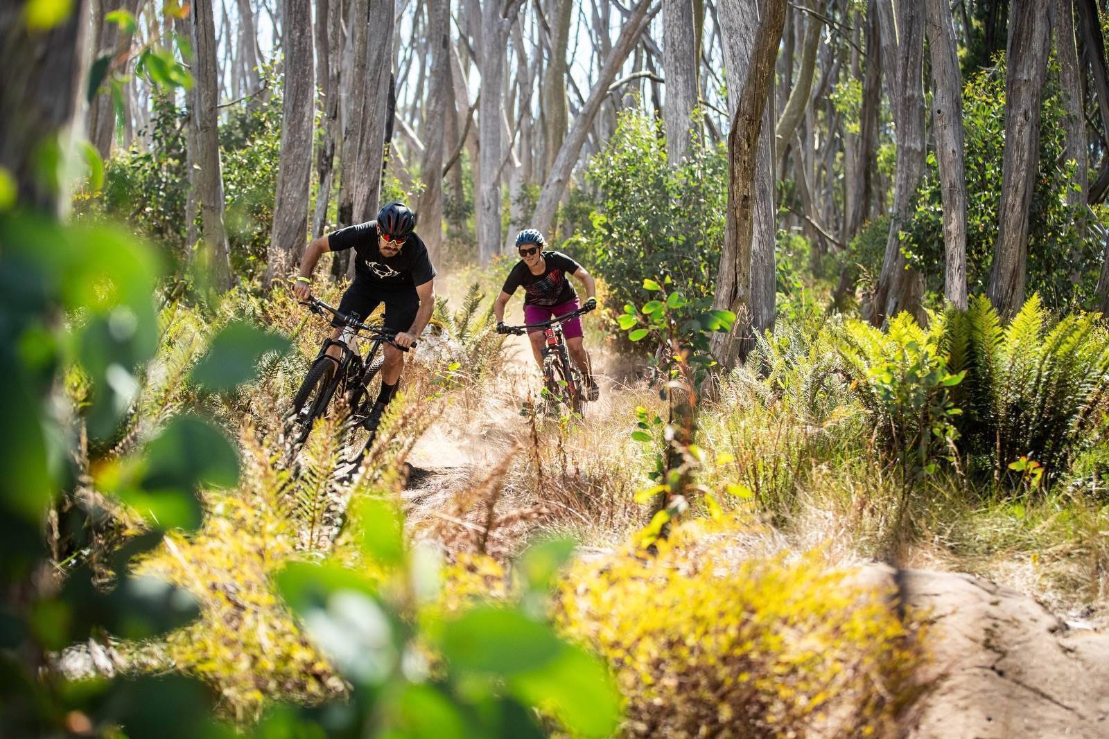 Places That Rock: Cascades Trail - Australian Mountain Bike | The home ...