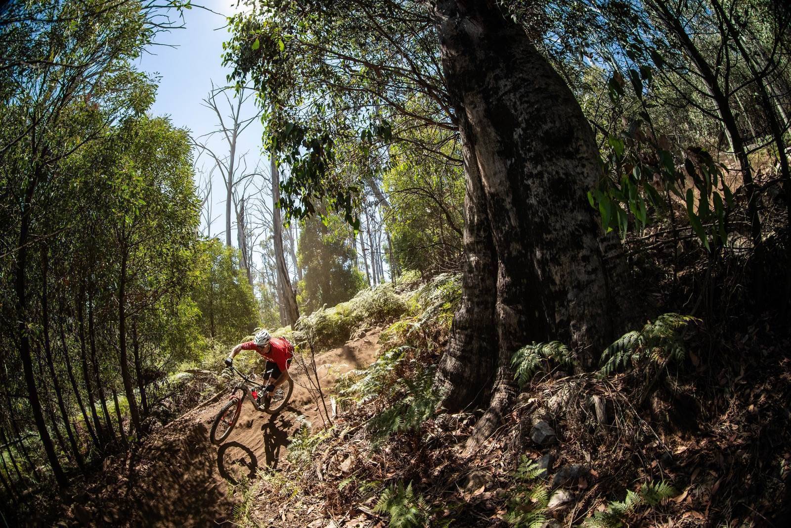 Places That Rock: Cascades Trail - Australian Mountain Bike | The home ...