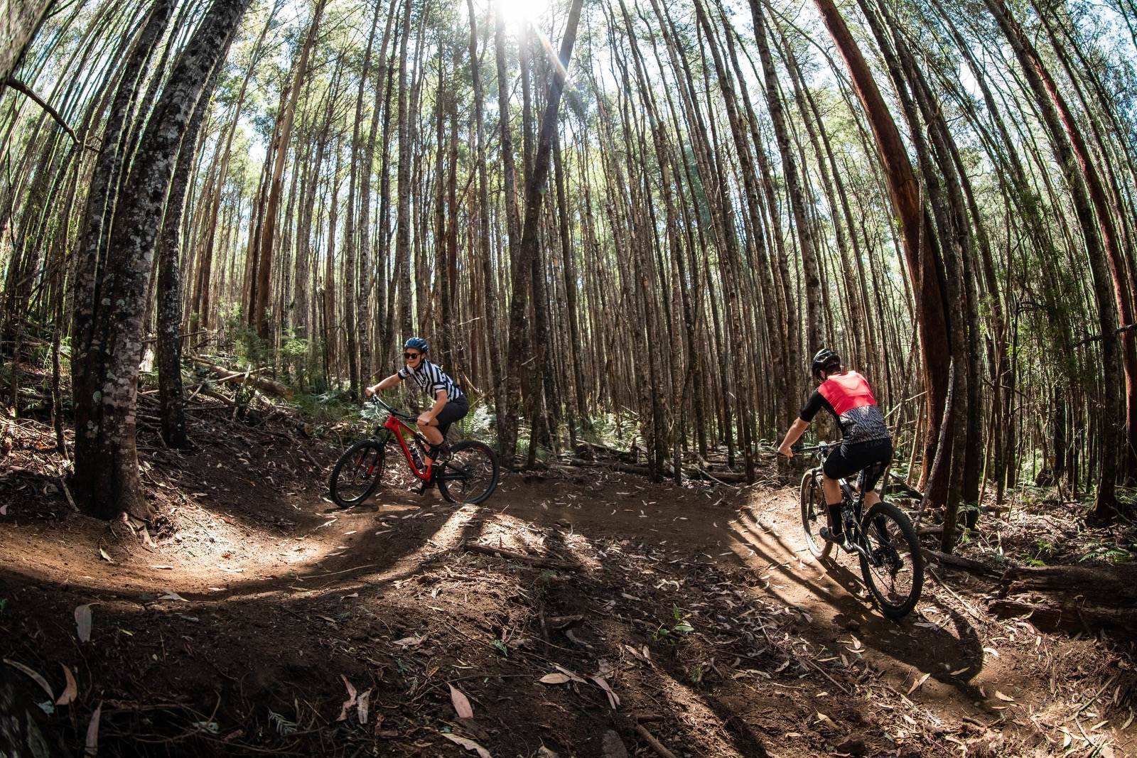 Places That Rock: Cascades Trail - Australian Mountain Bike | The home ...