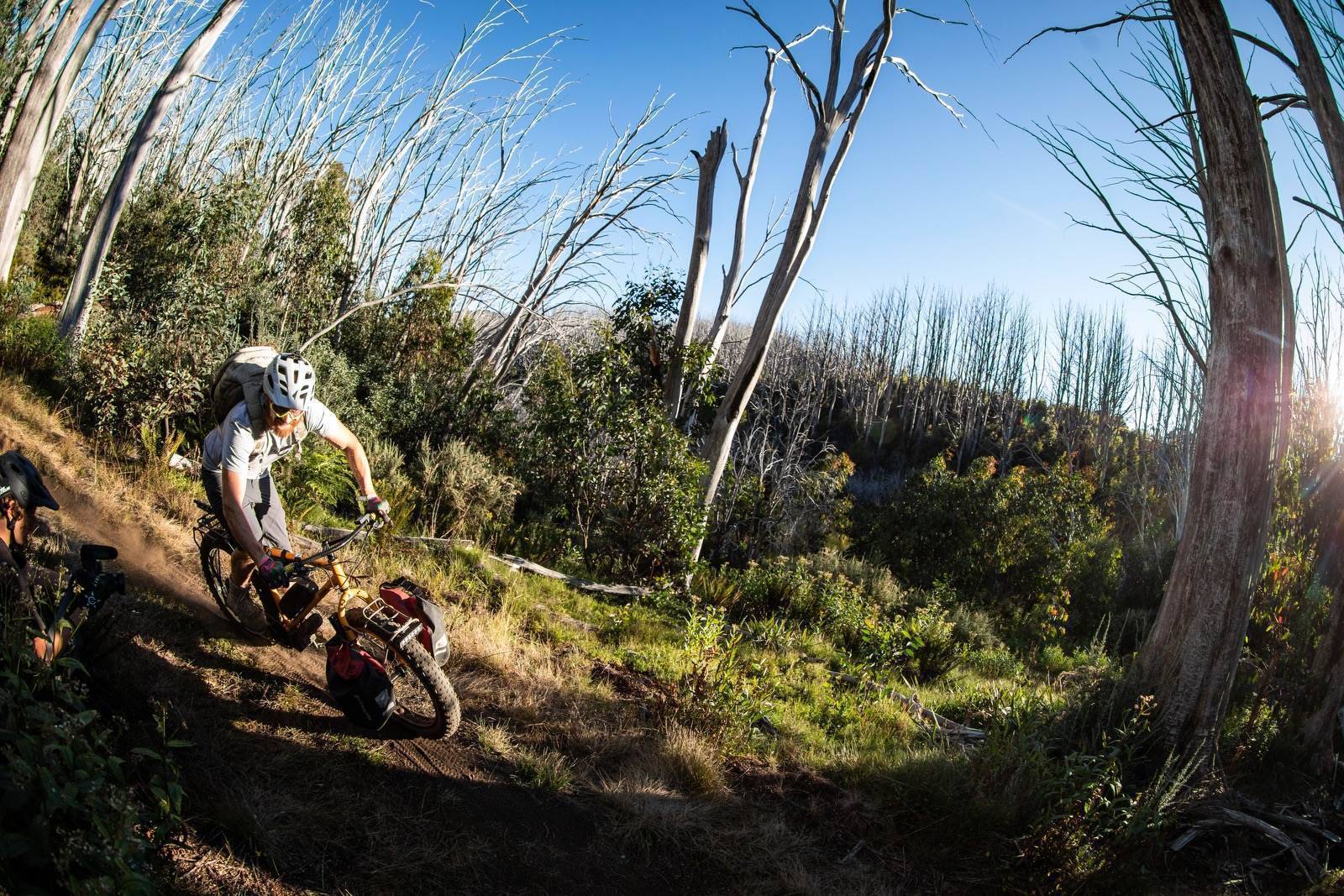 Places That Rock: Cascades Trail - Australian Mountain Bike | The home ...