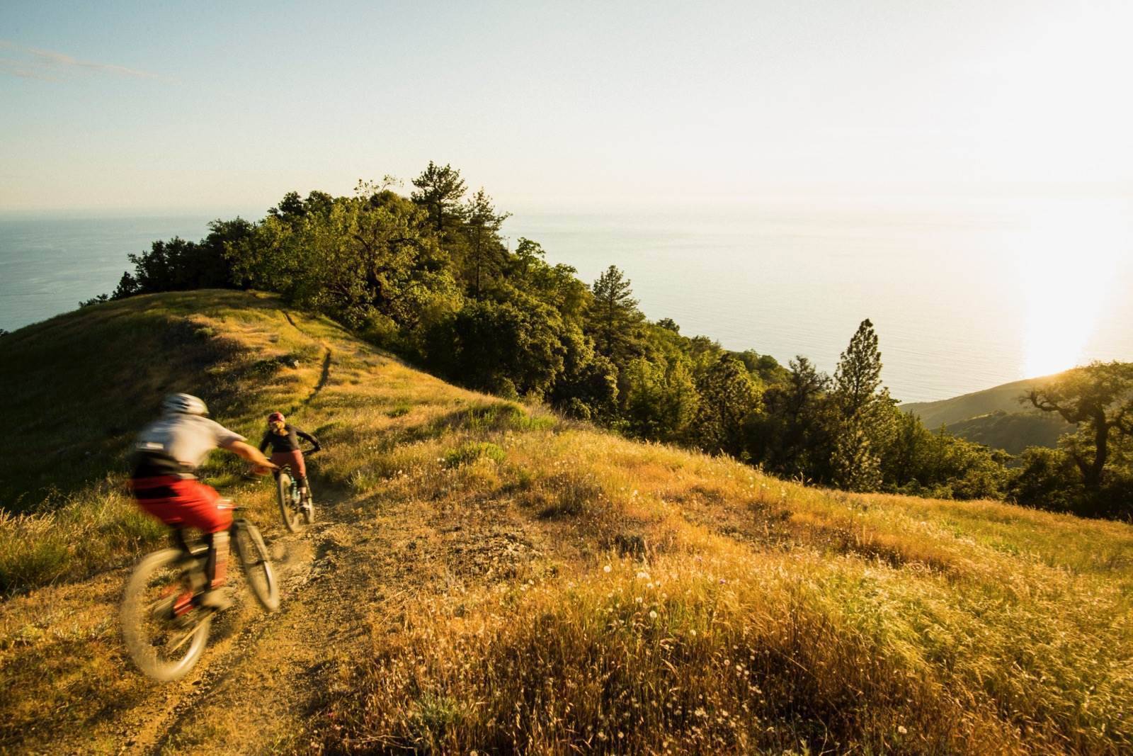 Everything you need to know about the Trek Fuel EX - Australian ...