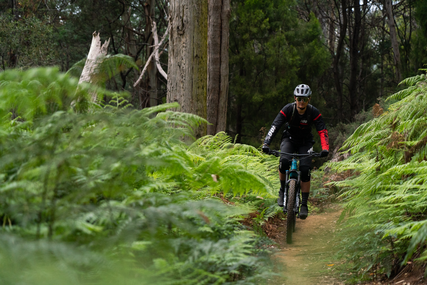 Ride on, ride off at Wild Mersey - Australian Mountain Bike | The home ...