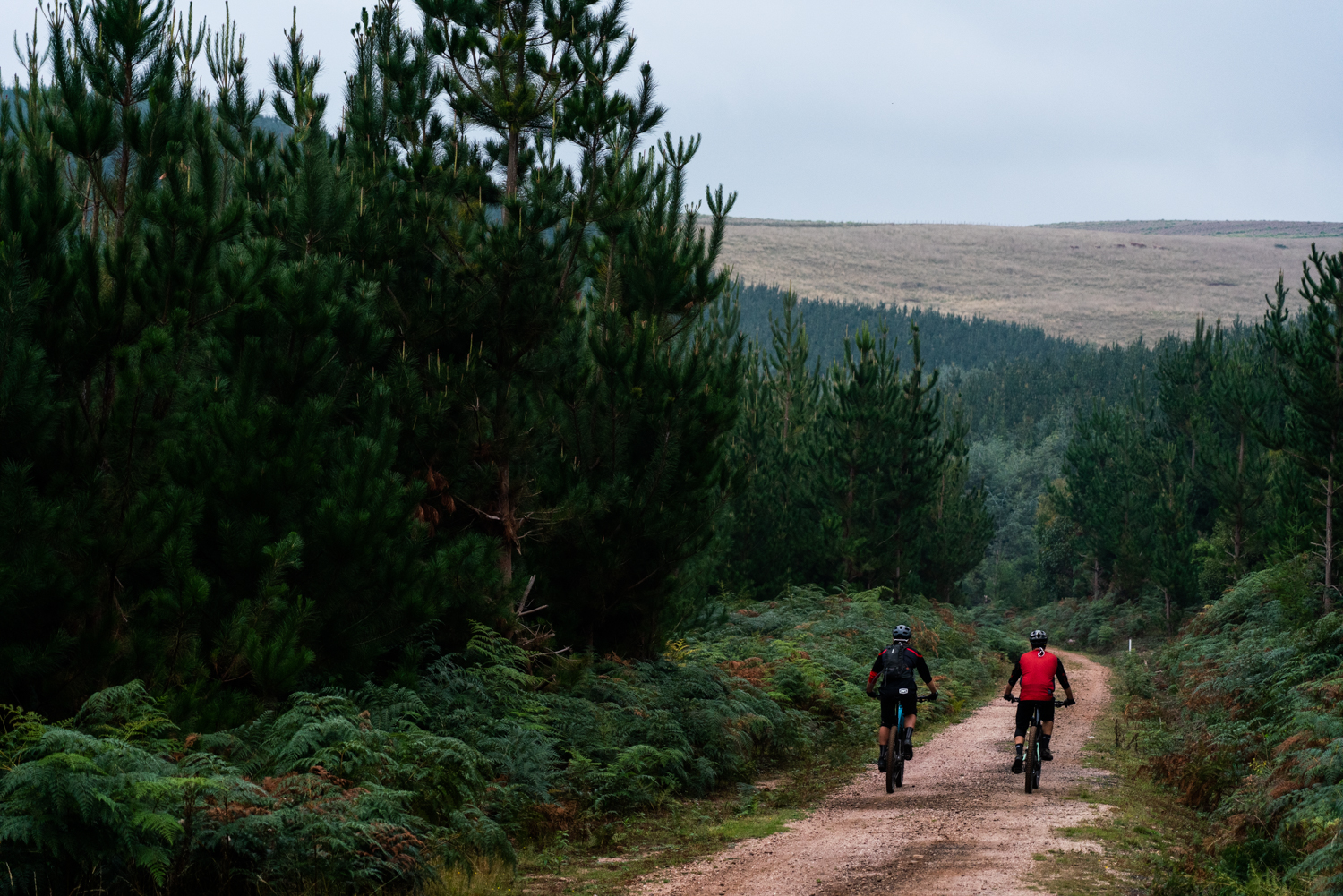Ride on, ride off at Wild Mersey - Australian Mountain Bike | The home ...