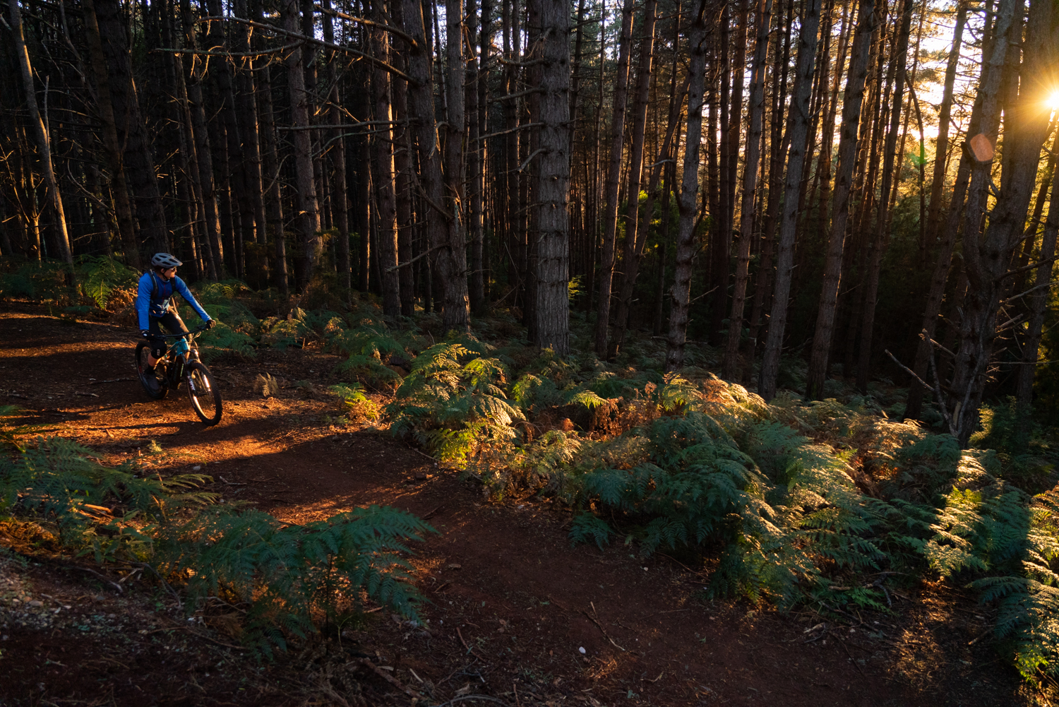 Ride on, ride off at Wild Mersey - Australian Mountain Bike | The home ...