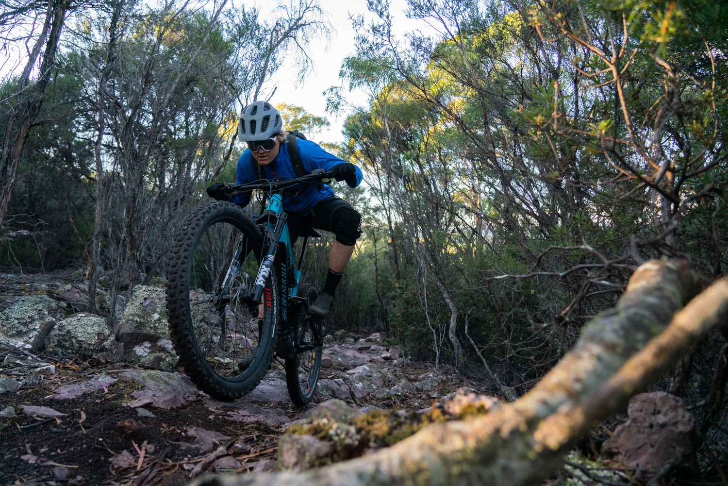 Ride on, ride off at Wild Mersey - Australian Mountain Bike | The home ...