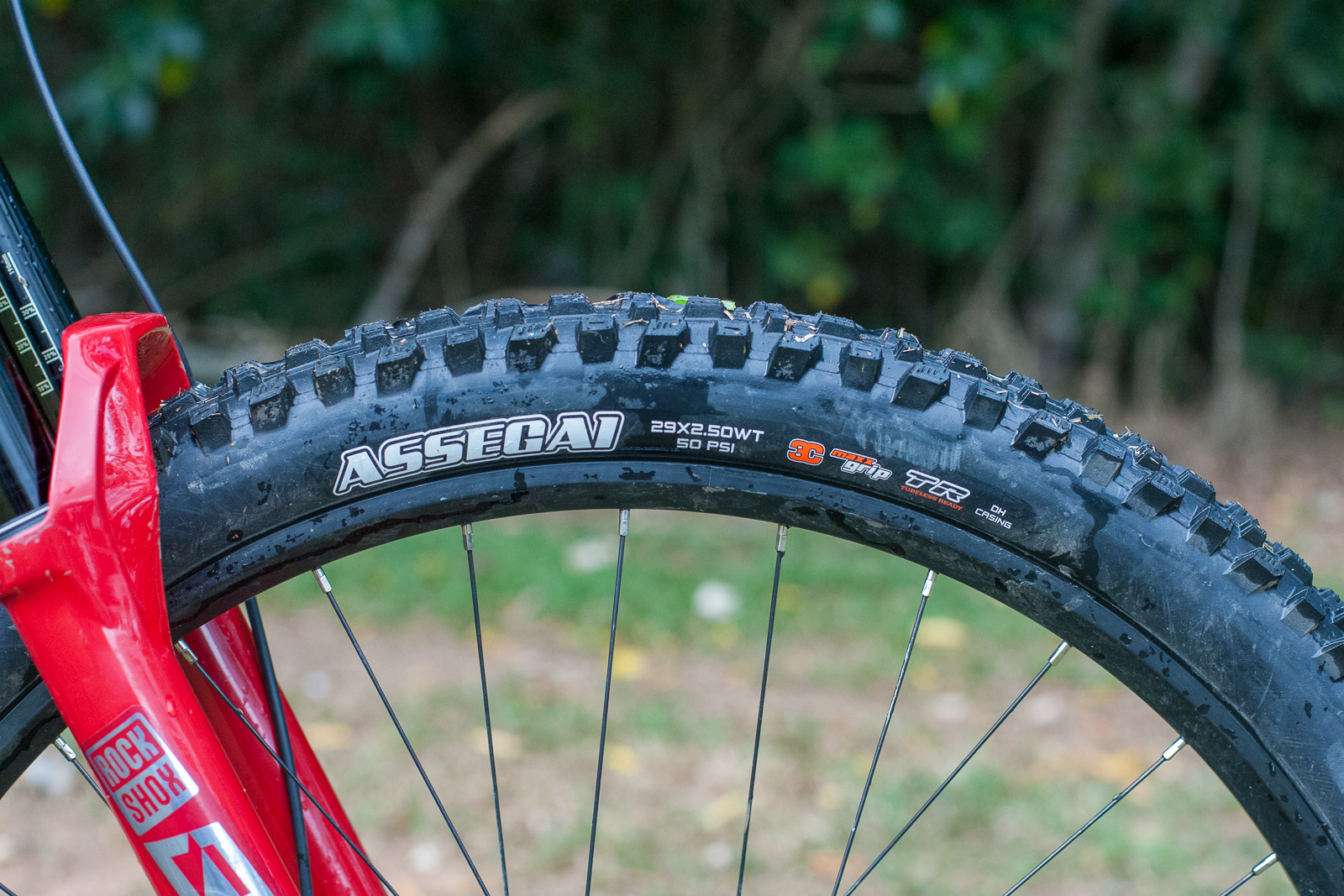 BIKE CHECK: Ellie Smith's Norco Range DH bike | AMBmag.com.au