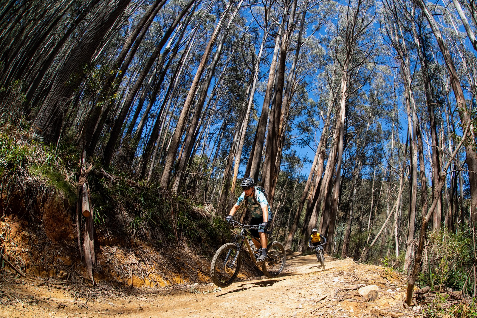 Riding the Delatite River Trail at Mt Buller | AMBmag.com.au