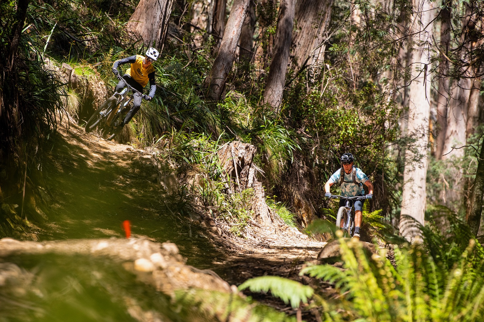 Riding the Delatite River Trail at Mt Buller | AMBmag.com.au