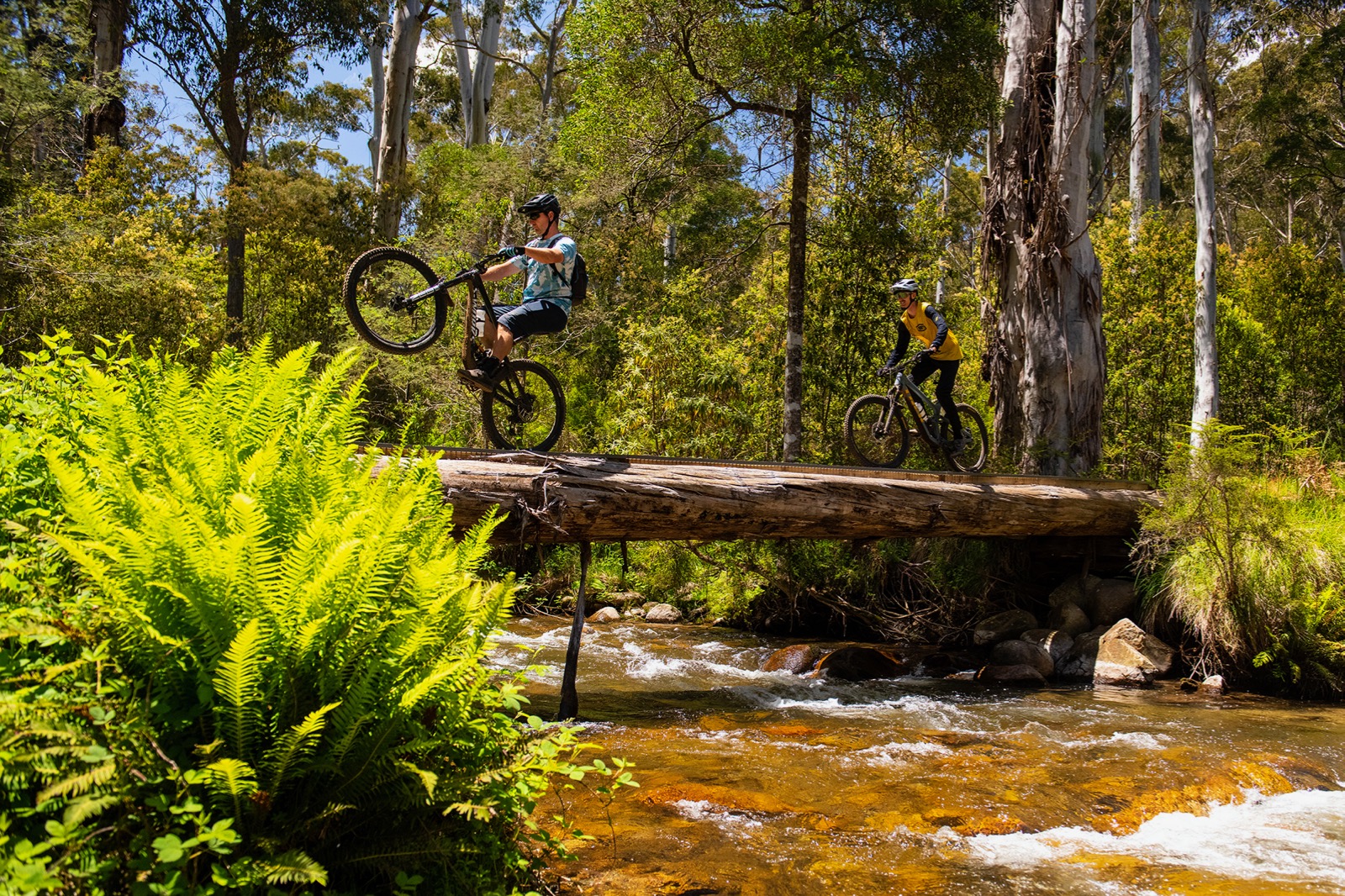 Riding the Delatite River Trail at Mt Buller | AMBmag.com.au