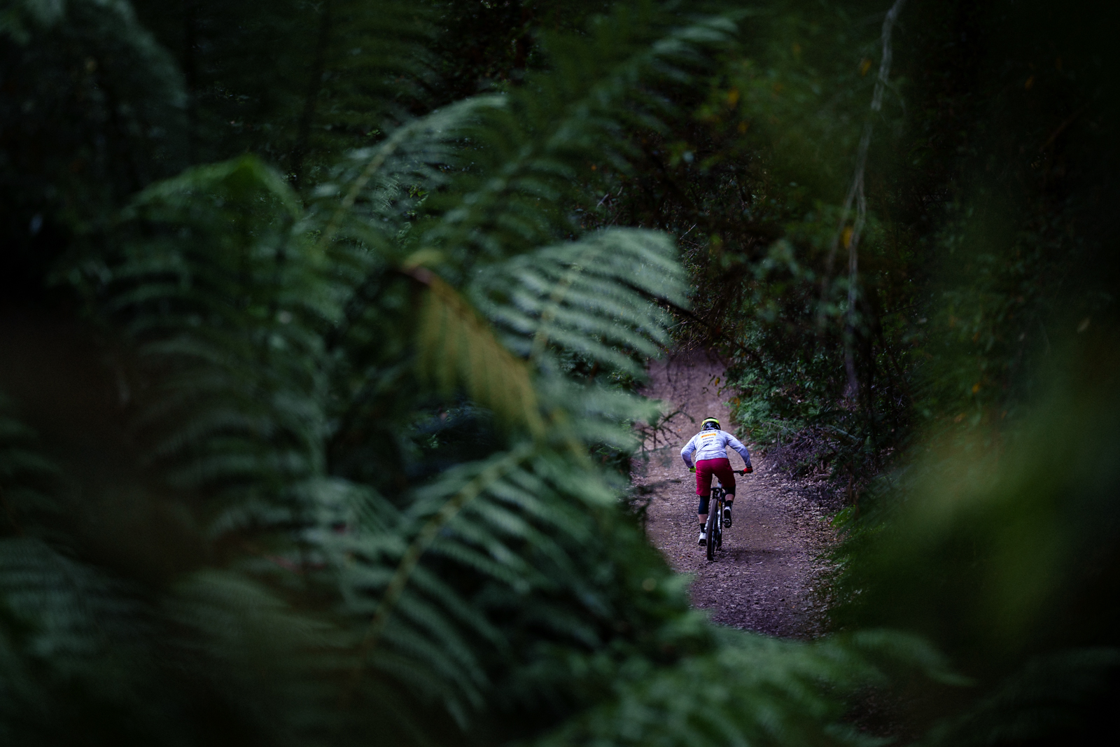 Luke Meier-Smith wins Enduro World Cup | AMBmag.com.au