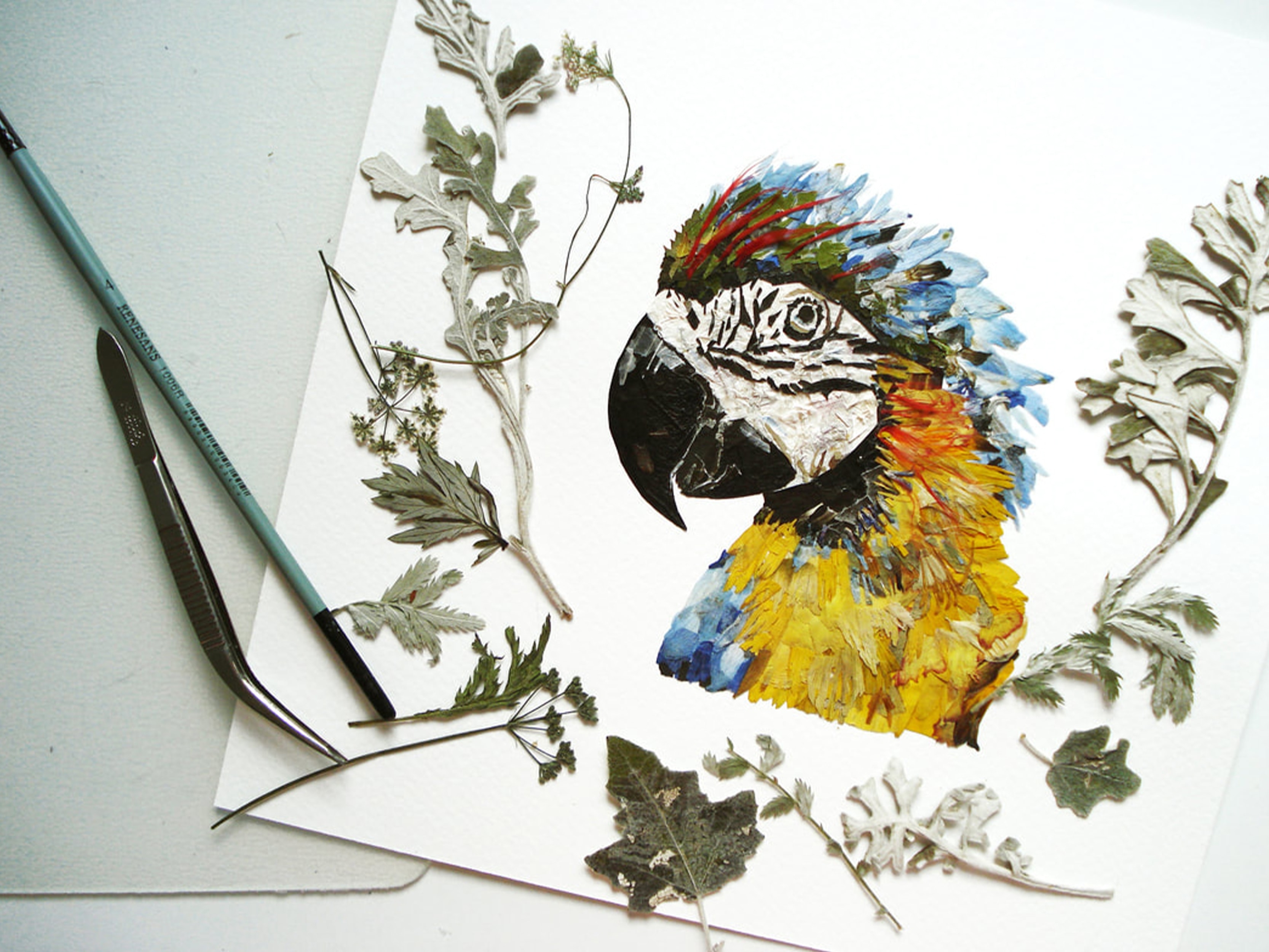 pressed-flower art and botanical collages by anastasia kovaleva • art ...