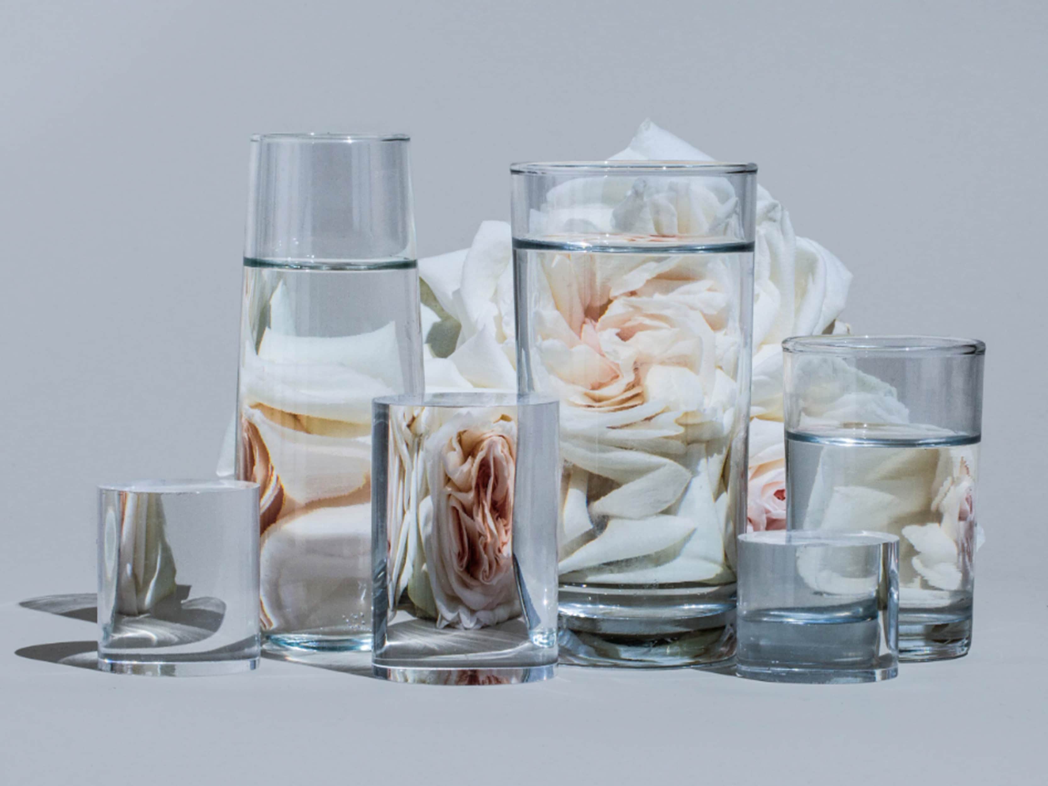 half-full snaps by suzanne saroff • photography • frankie magazine ...