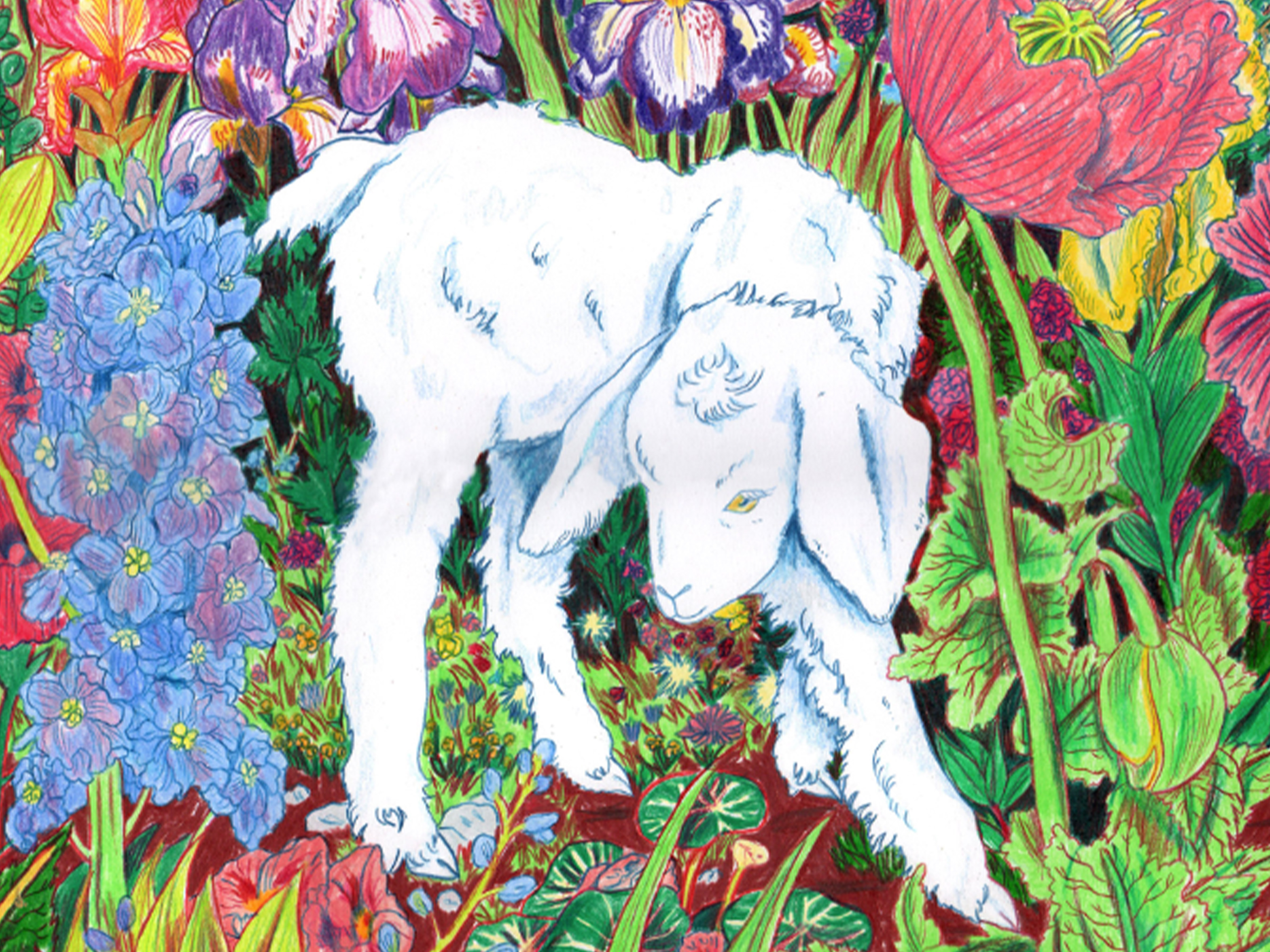 hannah lock draws adorable critters surrounded by lush florals • art ...