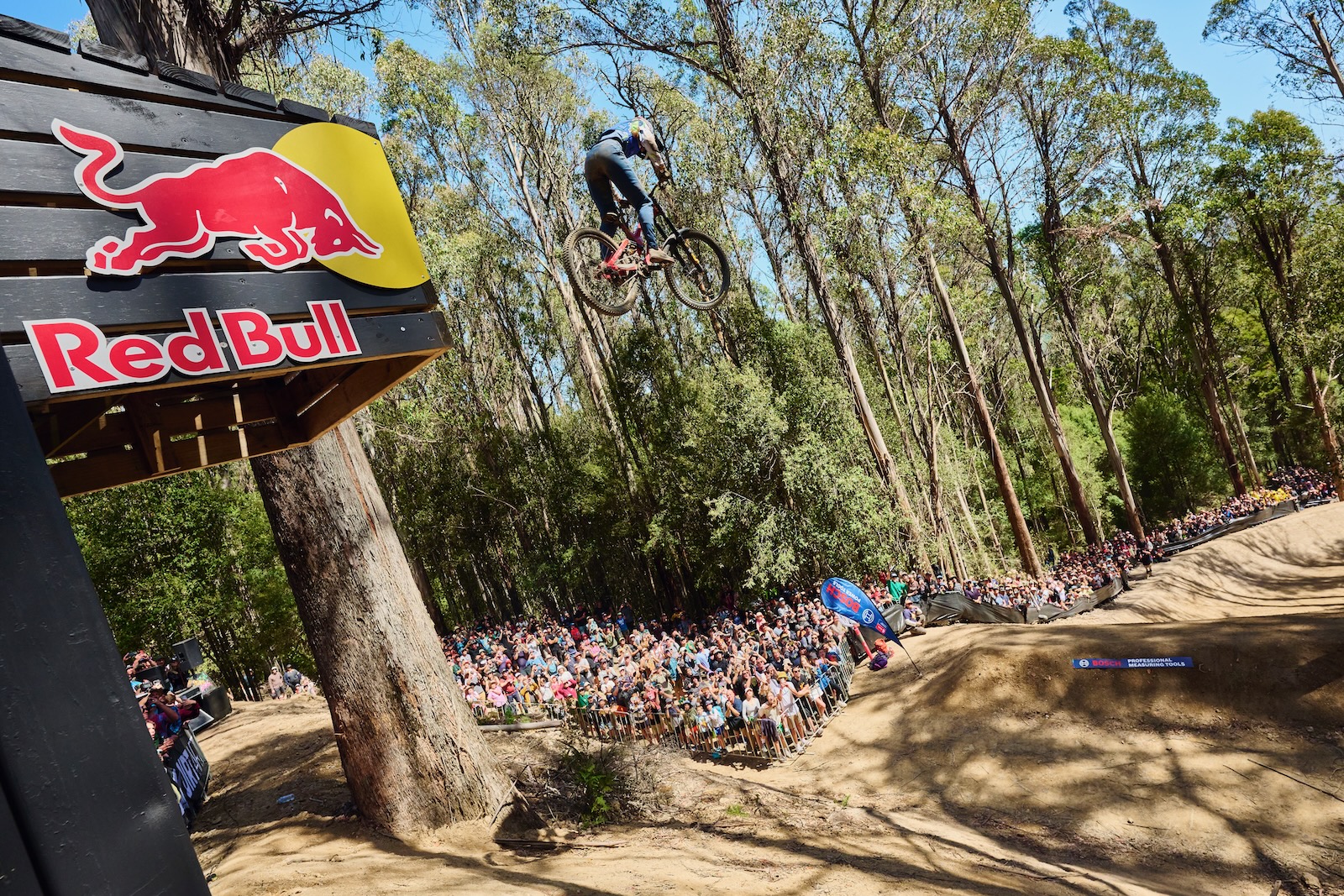 Red Bull Hardline Maydena Highlight | AMBmag.com.au