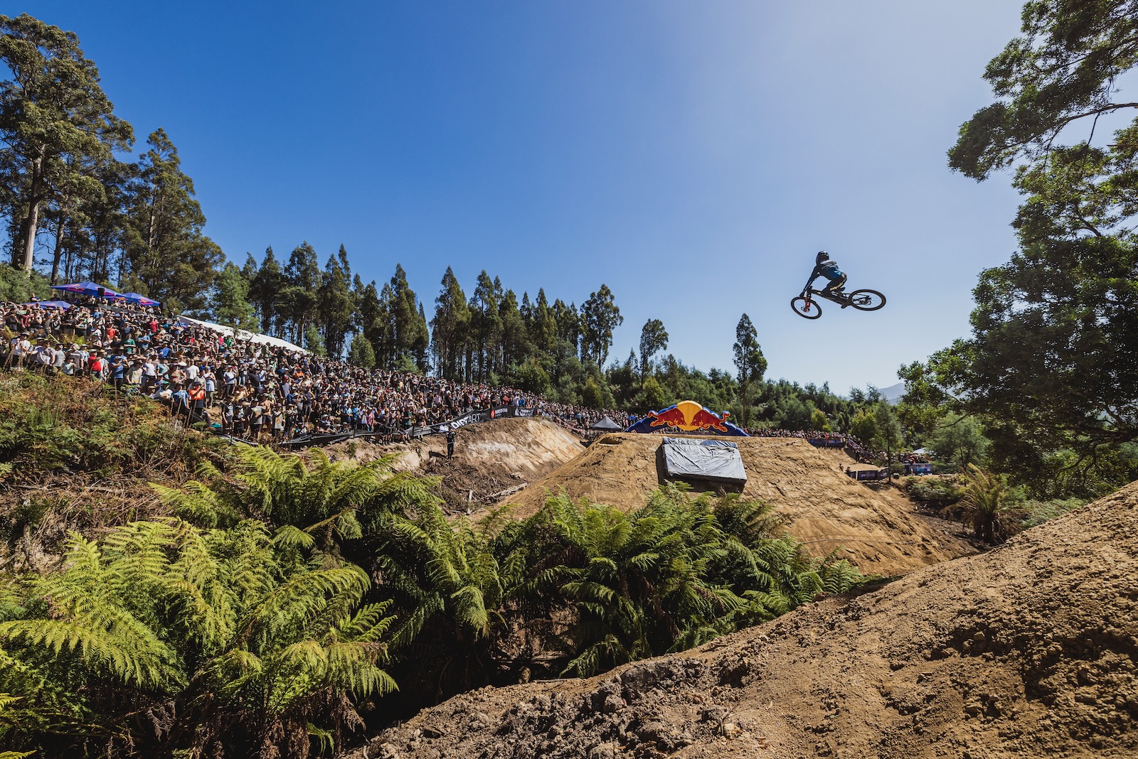 Red Bull Hardline Maydena Highlight | AMBmag.com.au