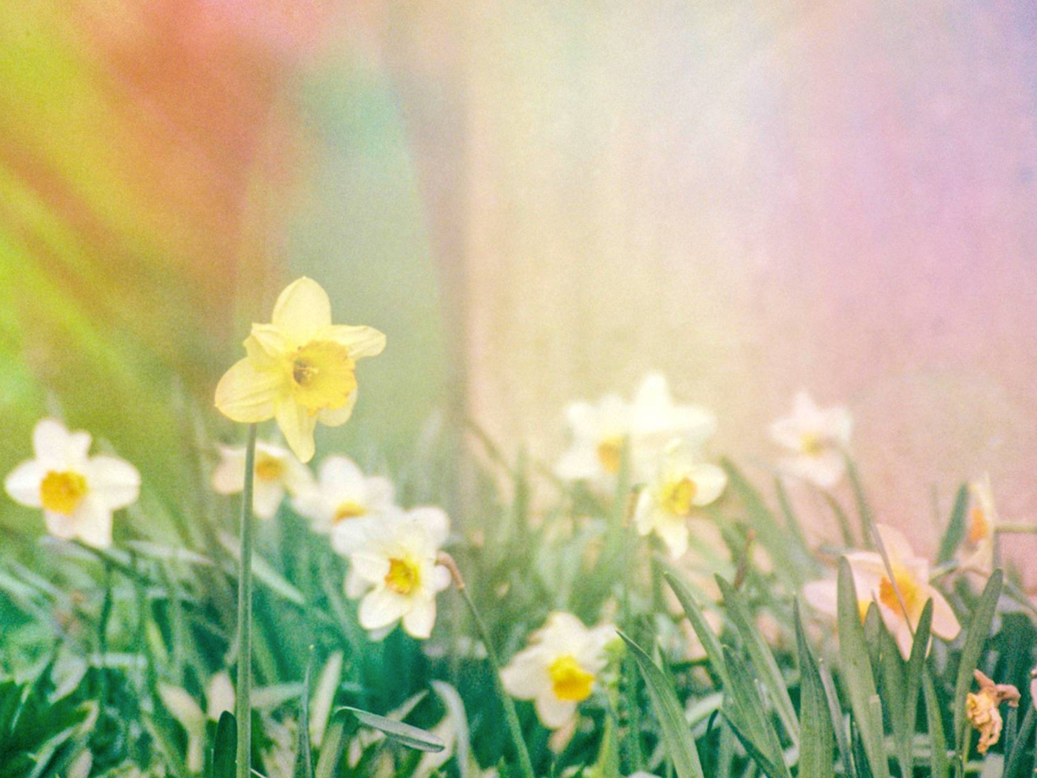 a brief guide on how to make film soup • photography • frankie magazine ...