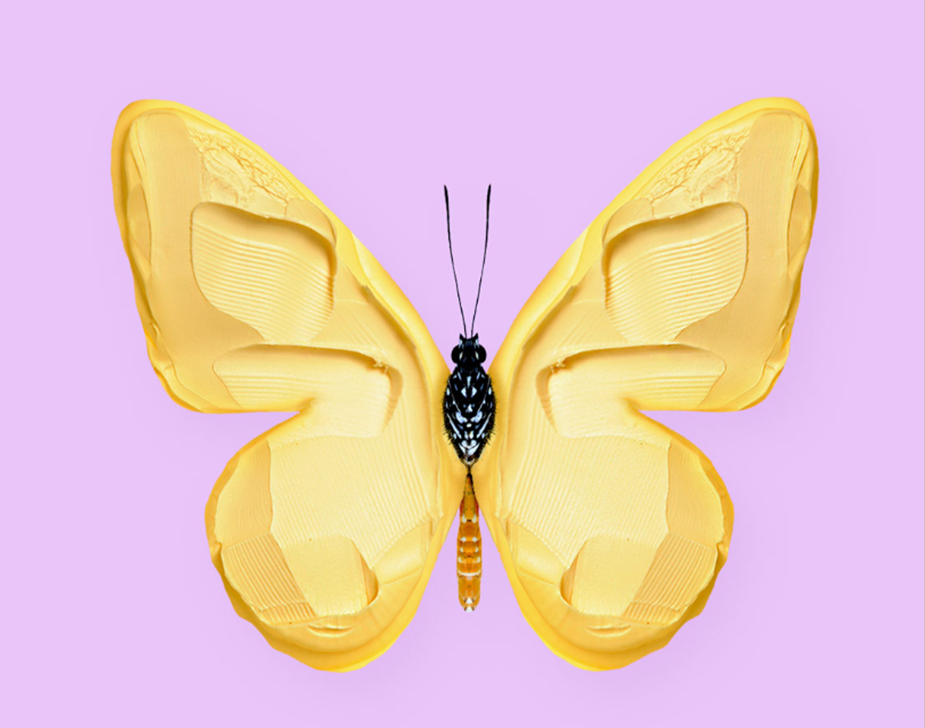 spy randy lewis' quirky snaps • photography • frankie magazine ...