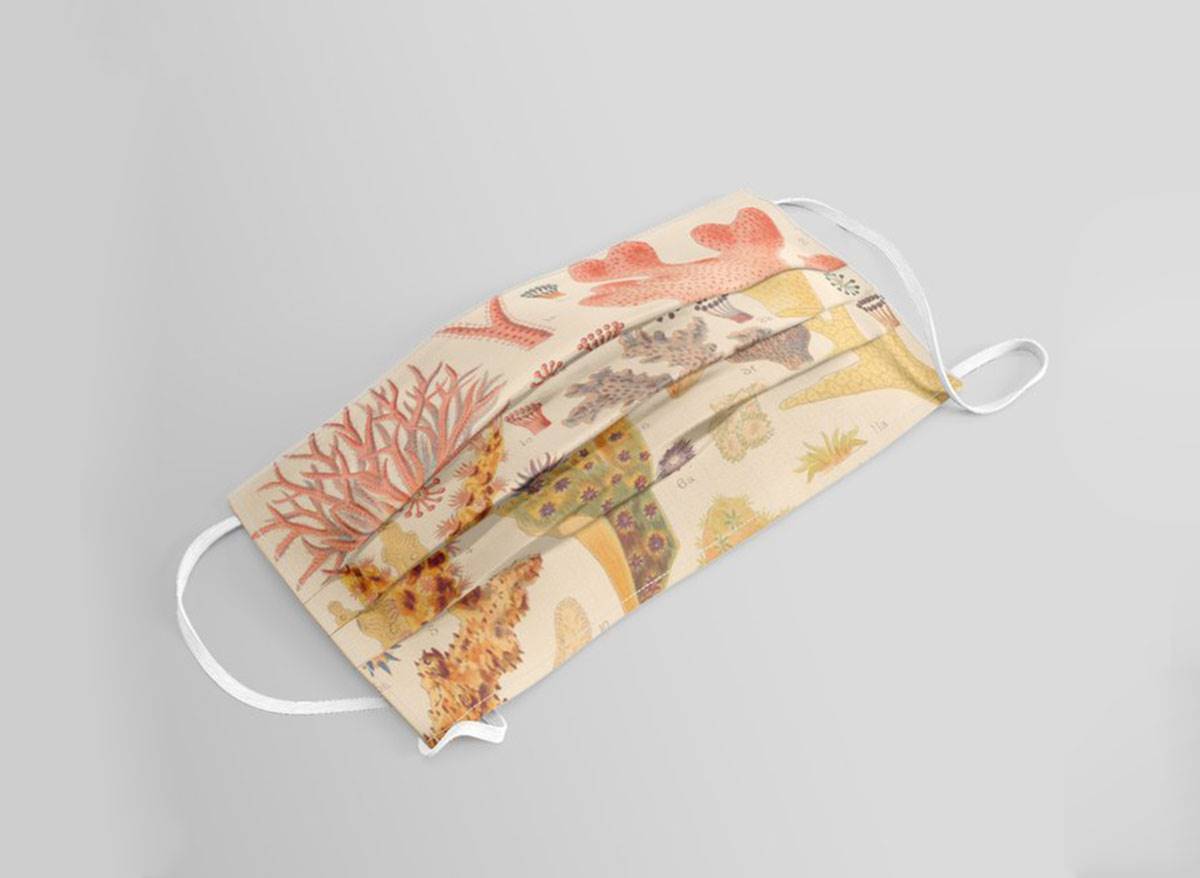 these face masks tell curious stories of science and astronomy ...