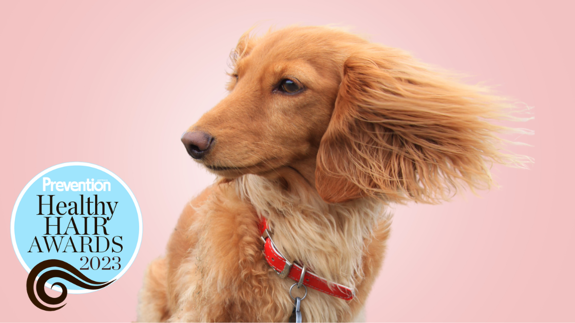 7 products to tame frizz