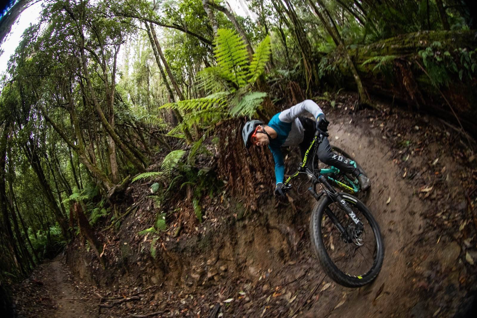 Places that rock: Wilderness Trail, Maydena - Australian Mountain Bike ...