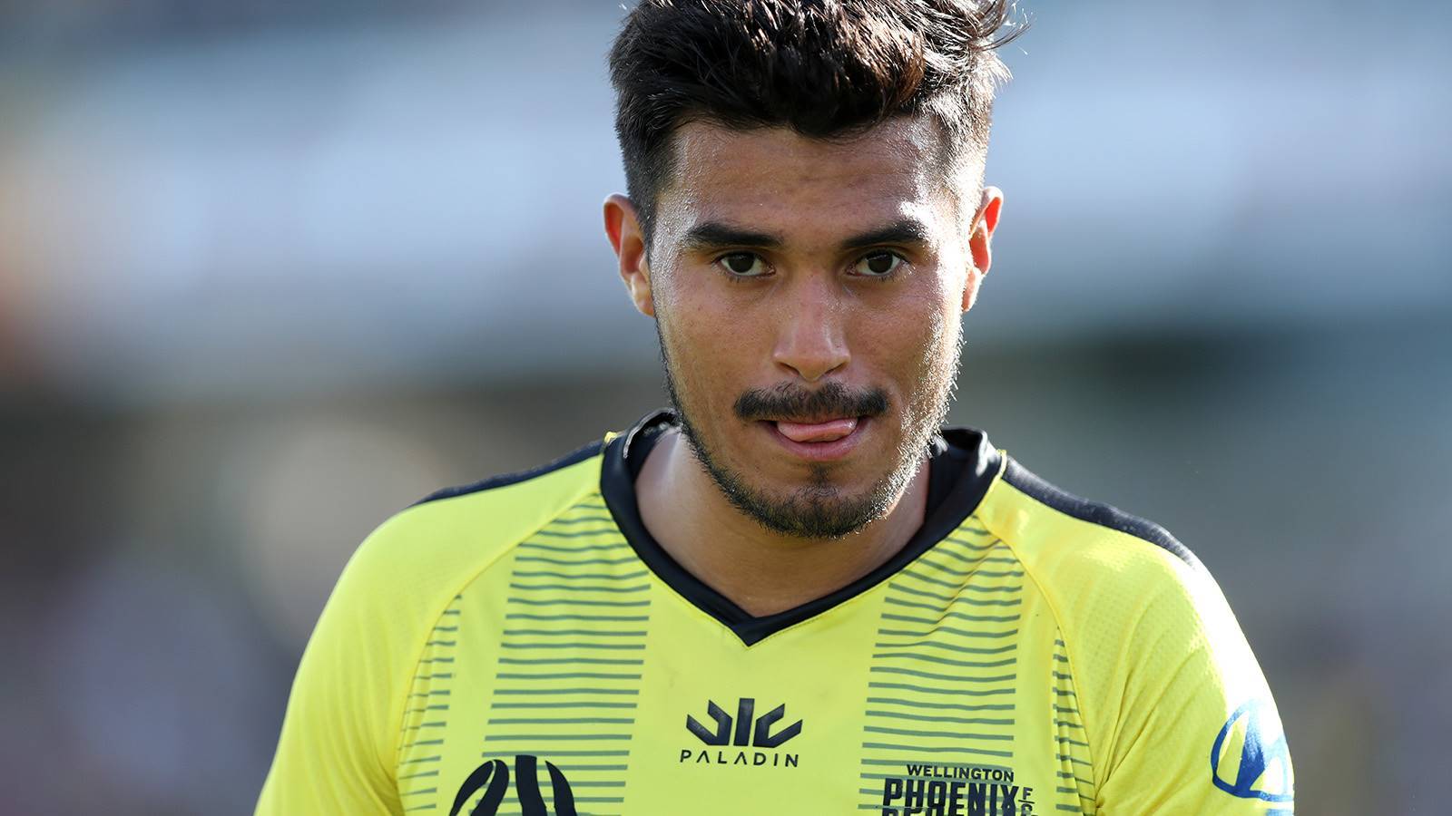 Phoenix driven by A-League history - FTBL | The home of football in ...