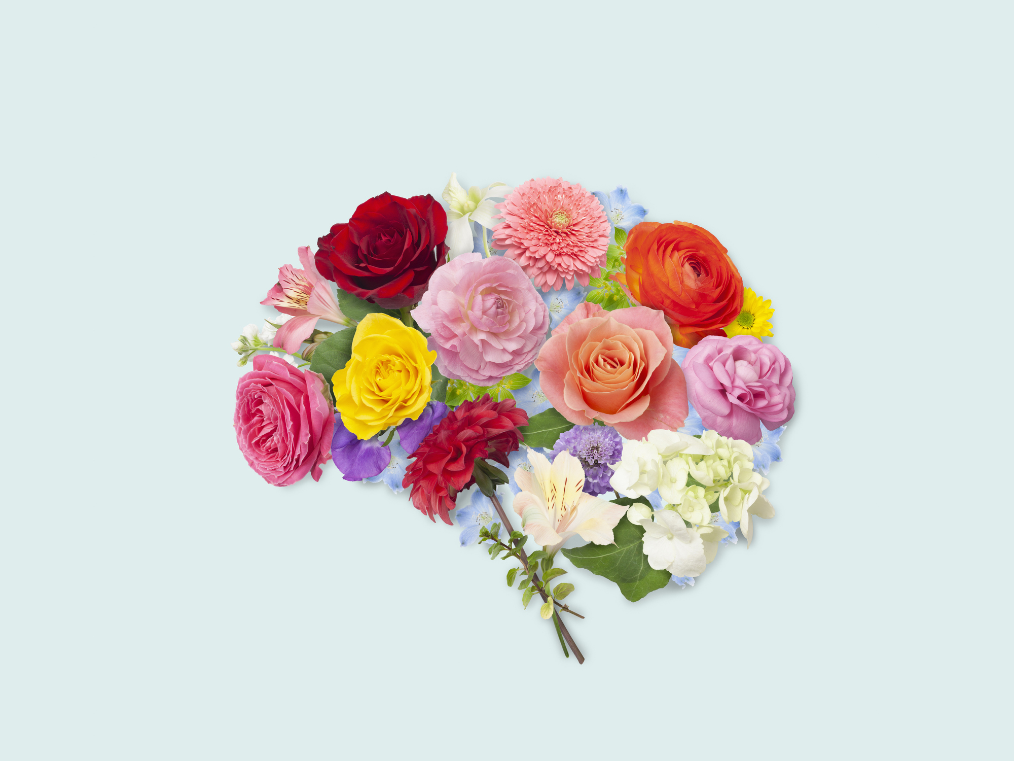 5 Easy Ways to Protect Your Brain Health - Health - Prevention Australia