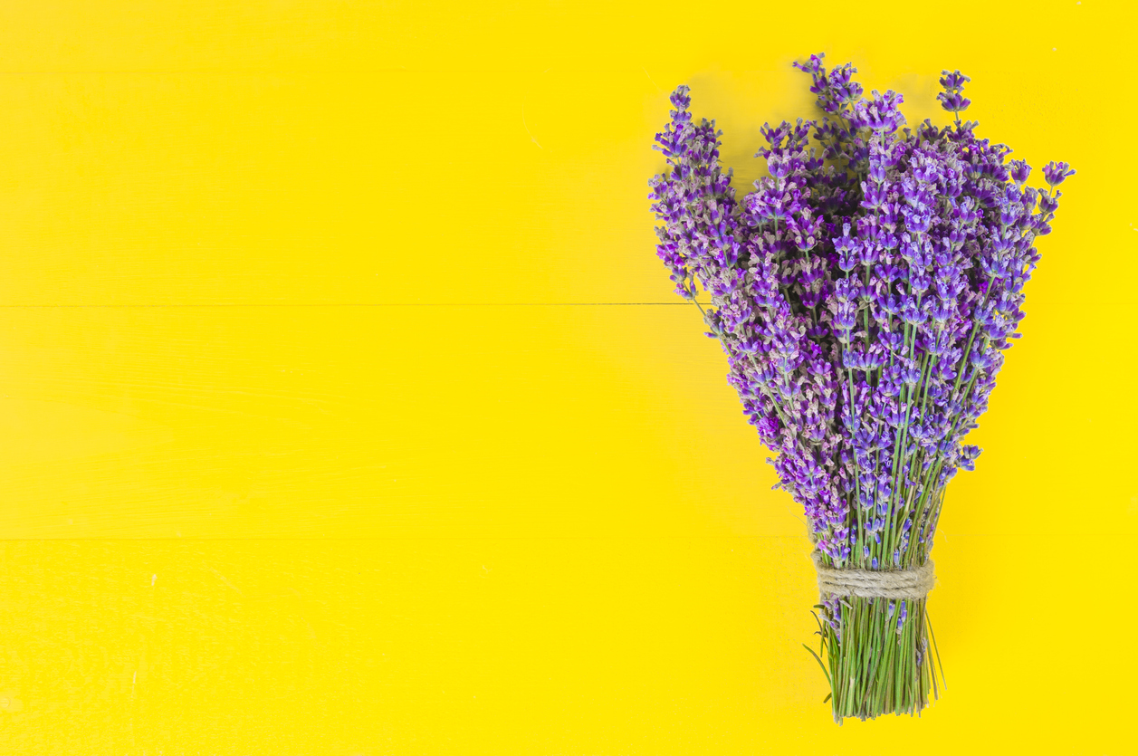 Ways to use lavender