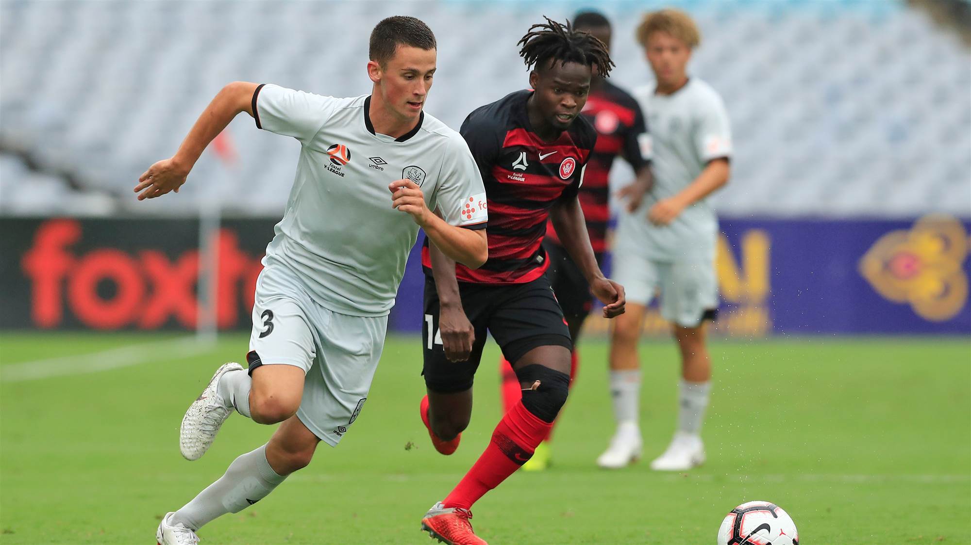 Y-League returns as vital reform looms - FTBL | The home of football in ...