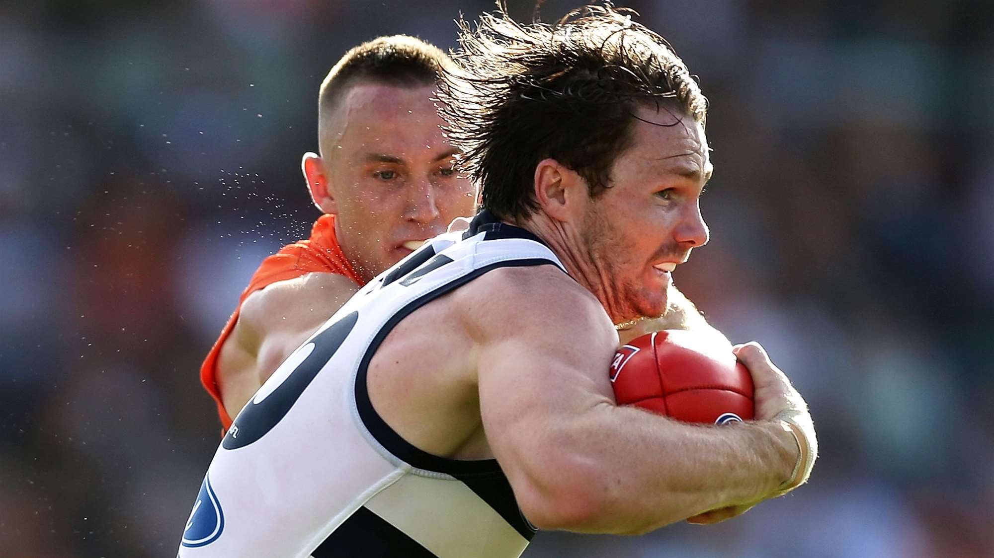 Cat named MVP - AFL - Inside Sport