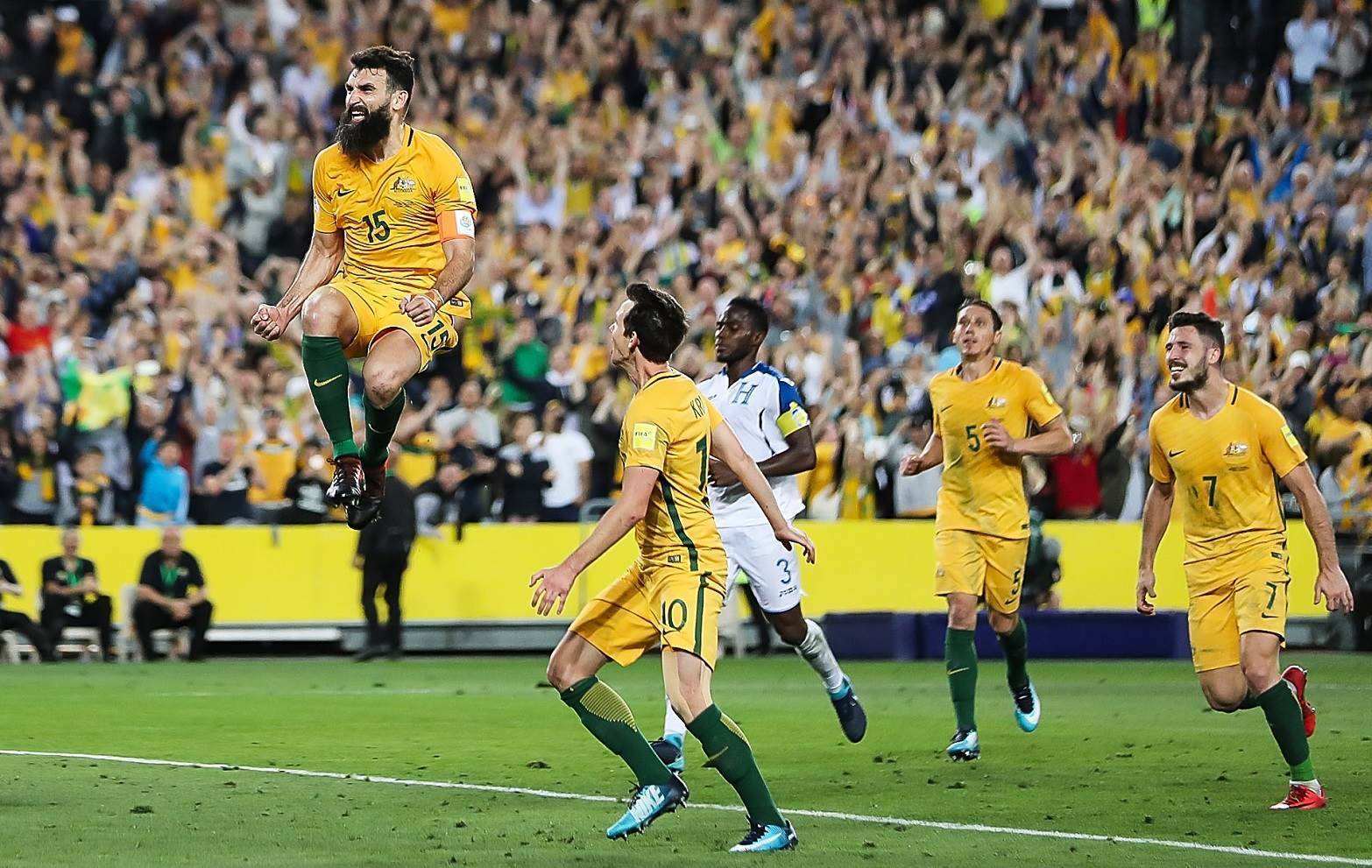 Socceroos World Cup group confirmed - FTBL | The home of football in ...
