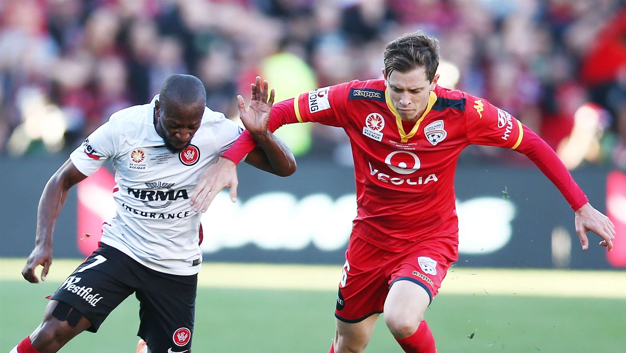 Socceroos behind Goodwin's Dutch courage - FTBL | The home of football ...